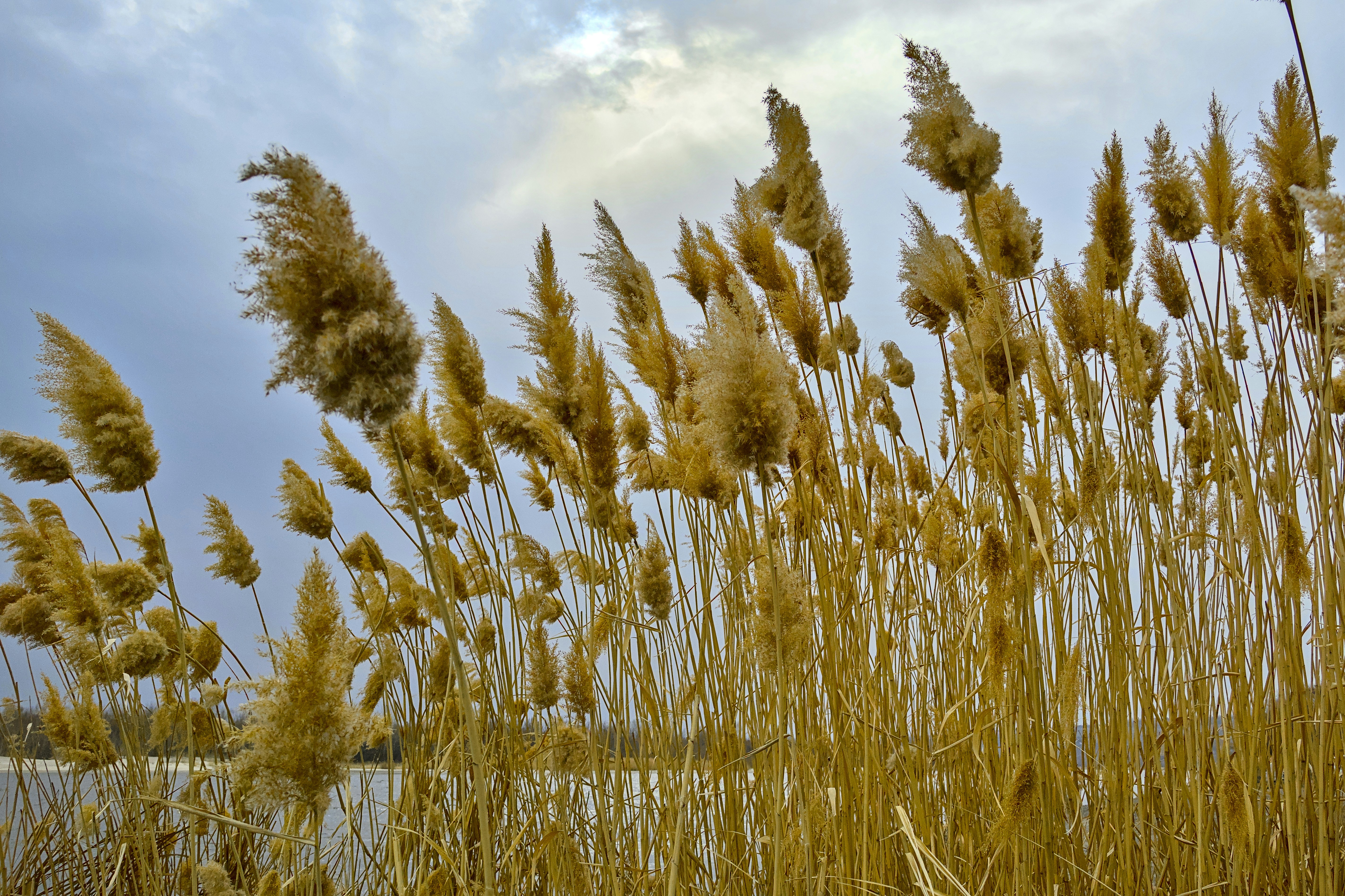 Aleksandr Sobolev (@alexvagler) | Komunitas Foto Unsplash