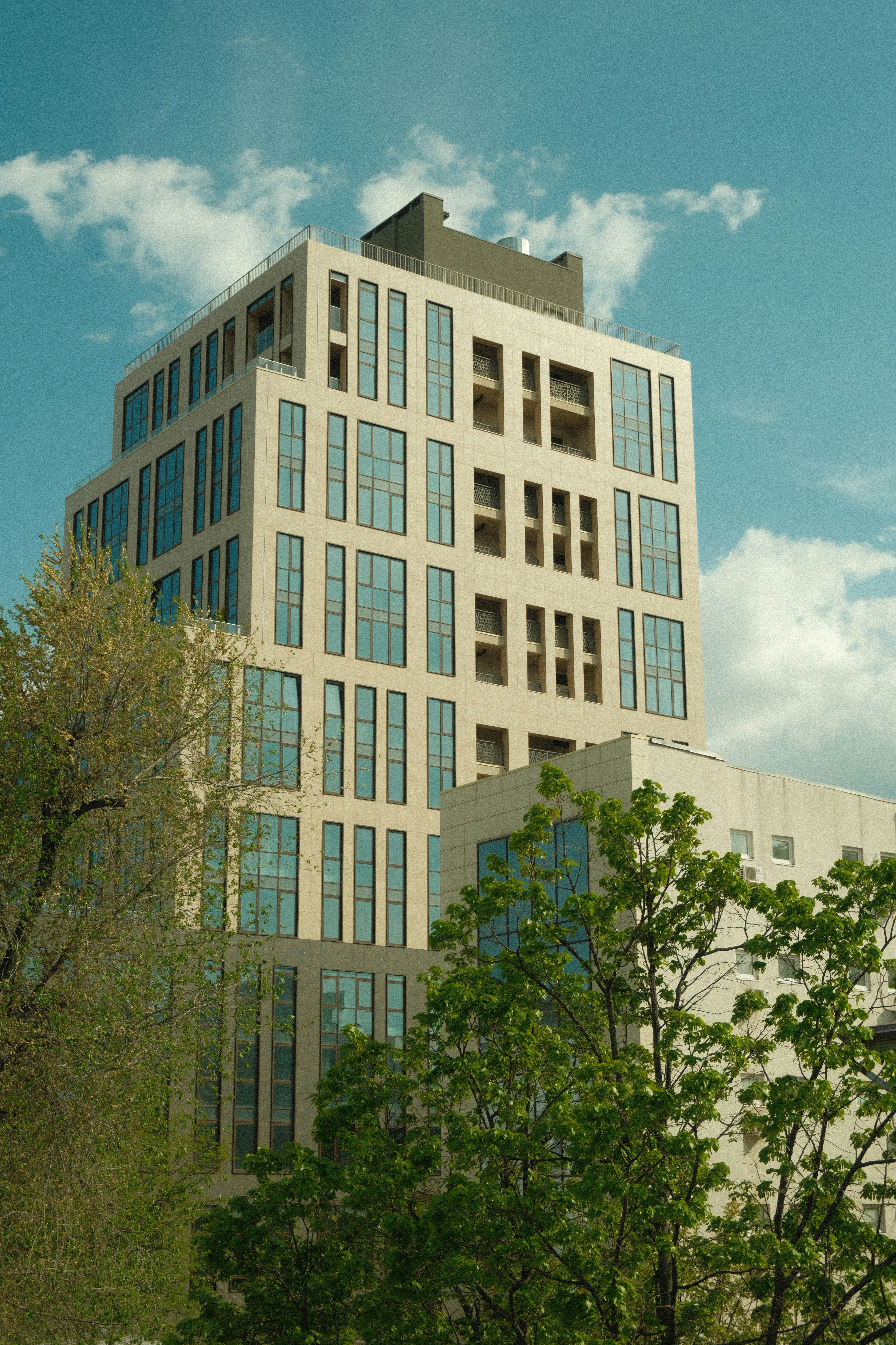 Fujifilm X-T5 _____ ISO 125 | 16-50 33 mm | f 3.8 | 1/250 s