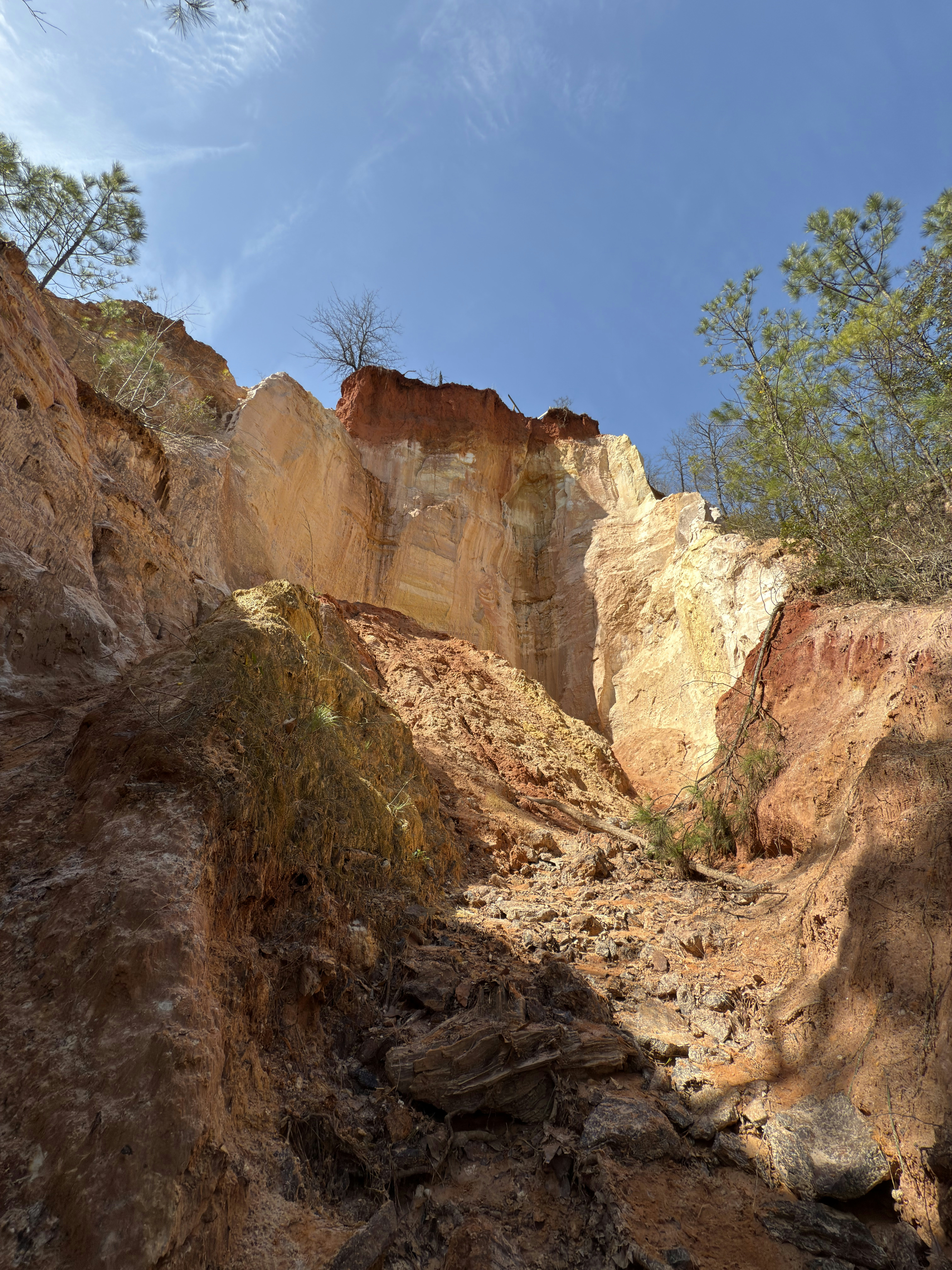 Photo by Eliijah Moss with Apple iPhone 16 Pro Max