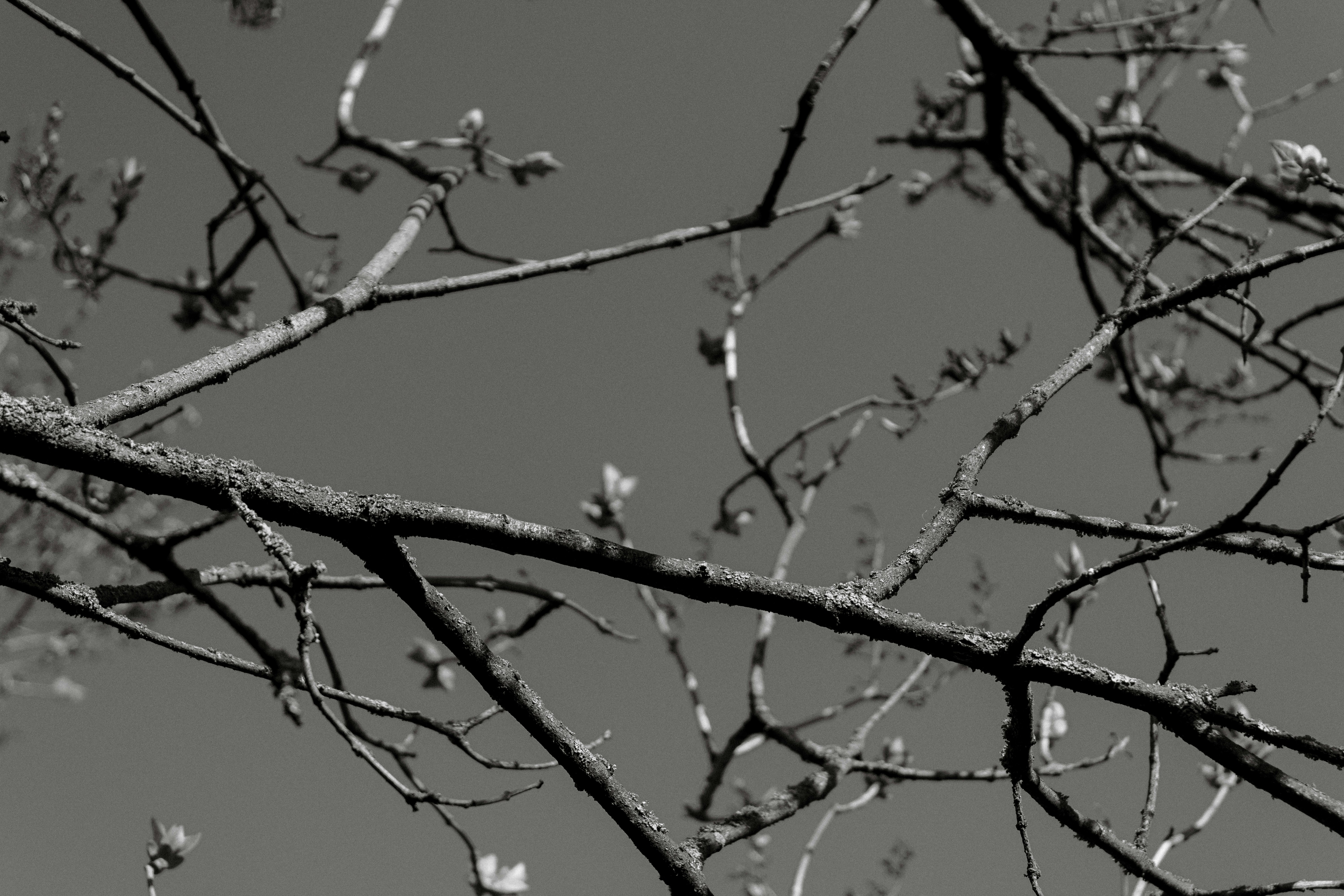 Photo by Anna Ozola with Canon EOS 200D