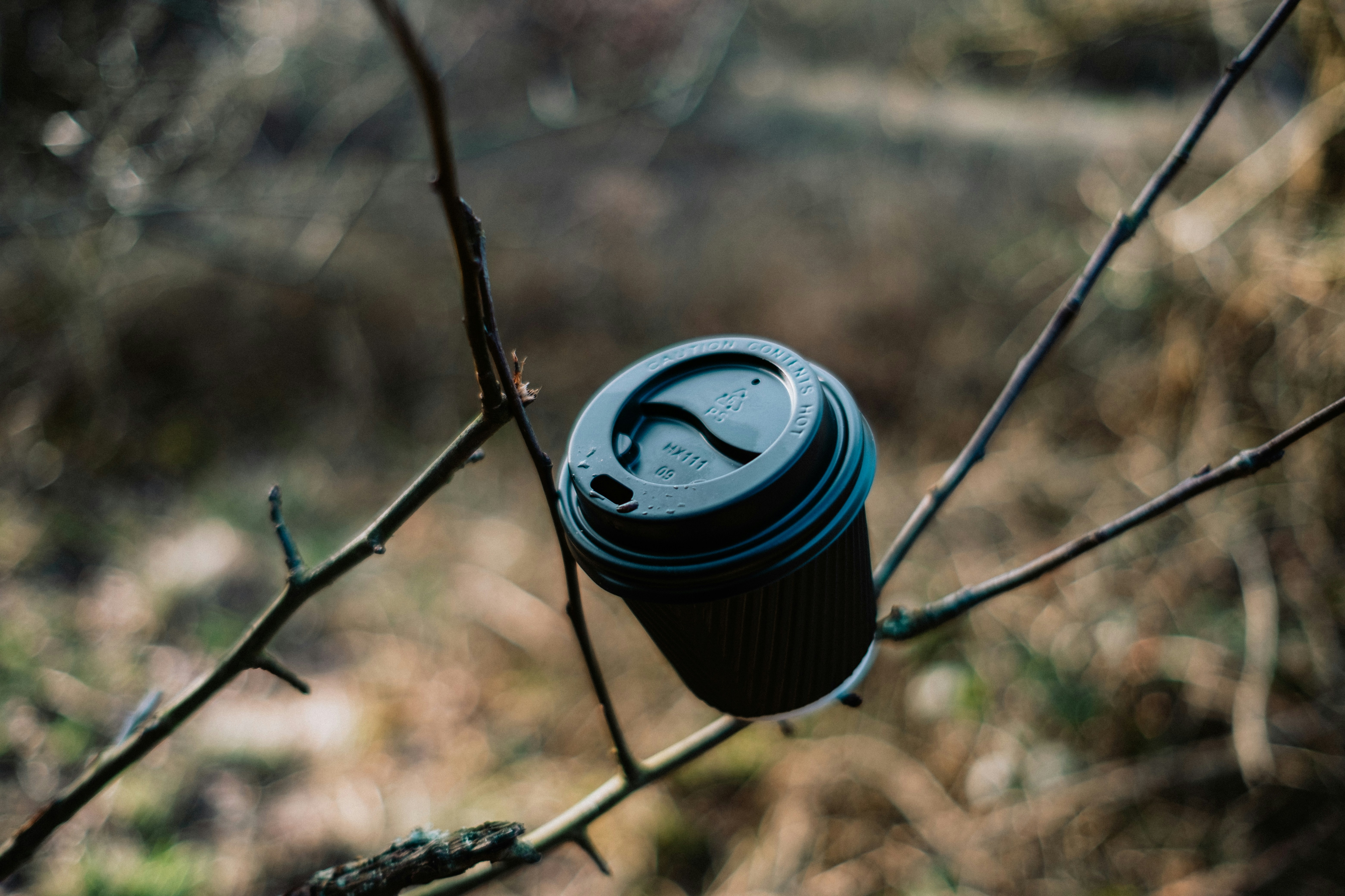 Photo by Samuel Regan-Asante with Fujifilm X-T30