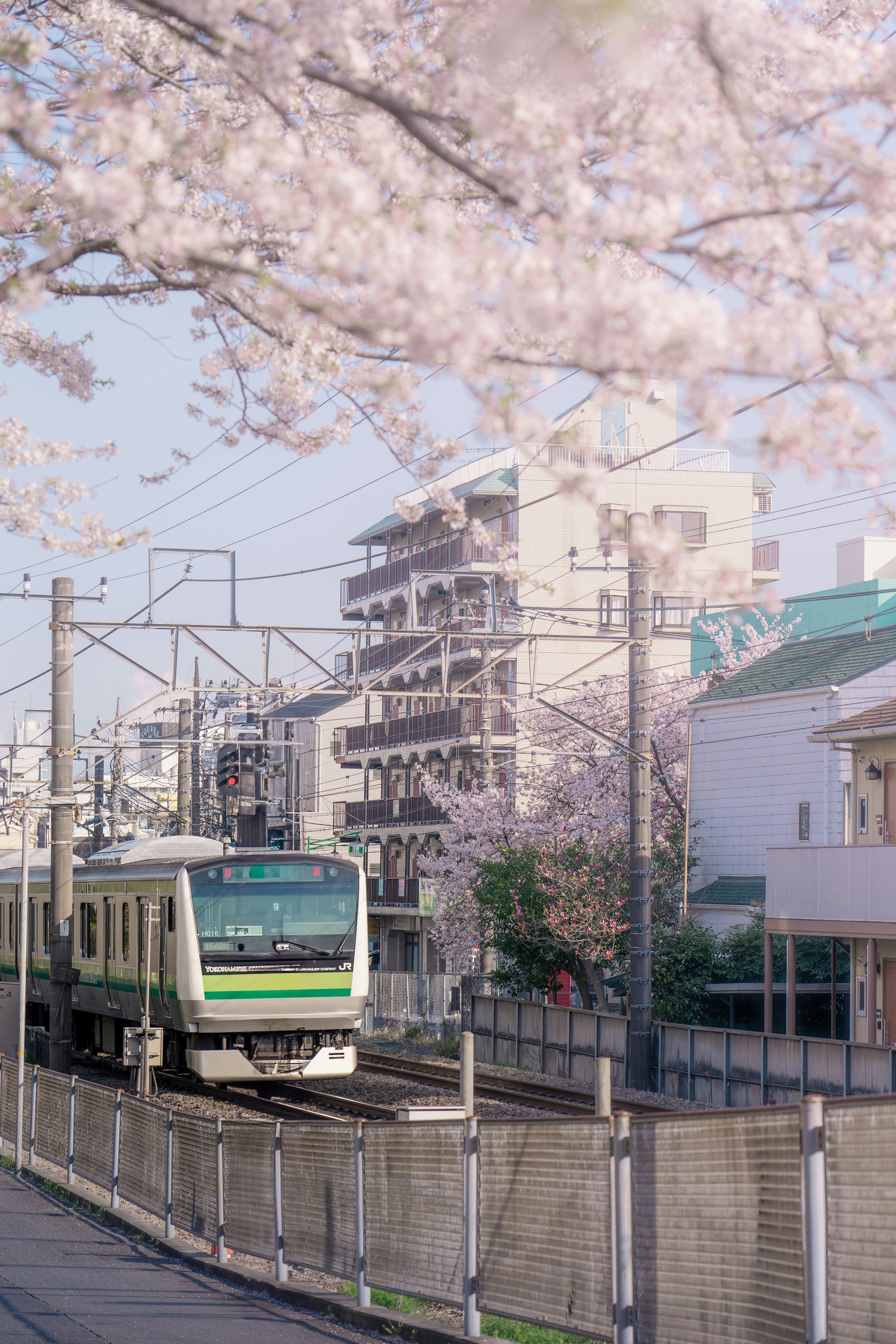 Blossoms and Rails: A Serene Journey