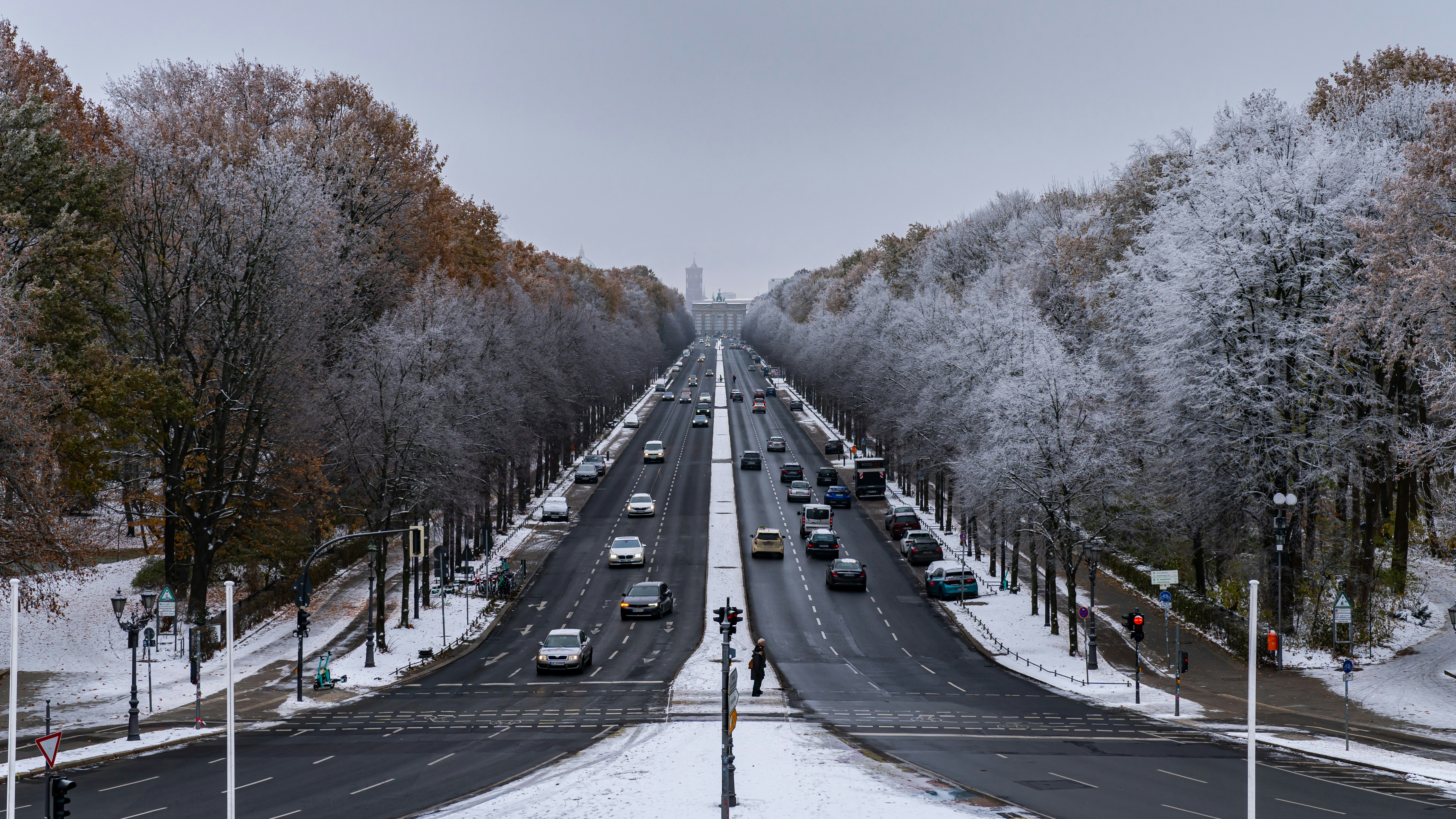 Snow-Dusted Boulevard: A Vanishing Point Through Winter's Symmetry