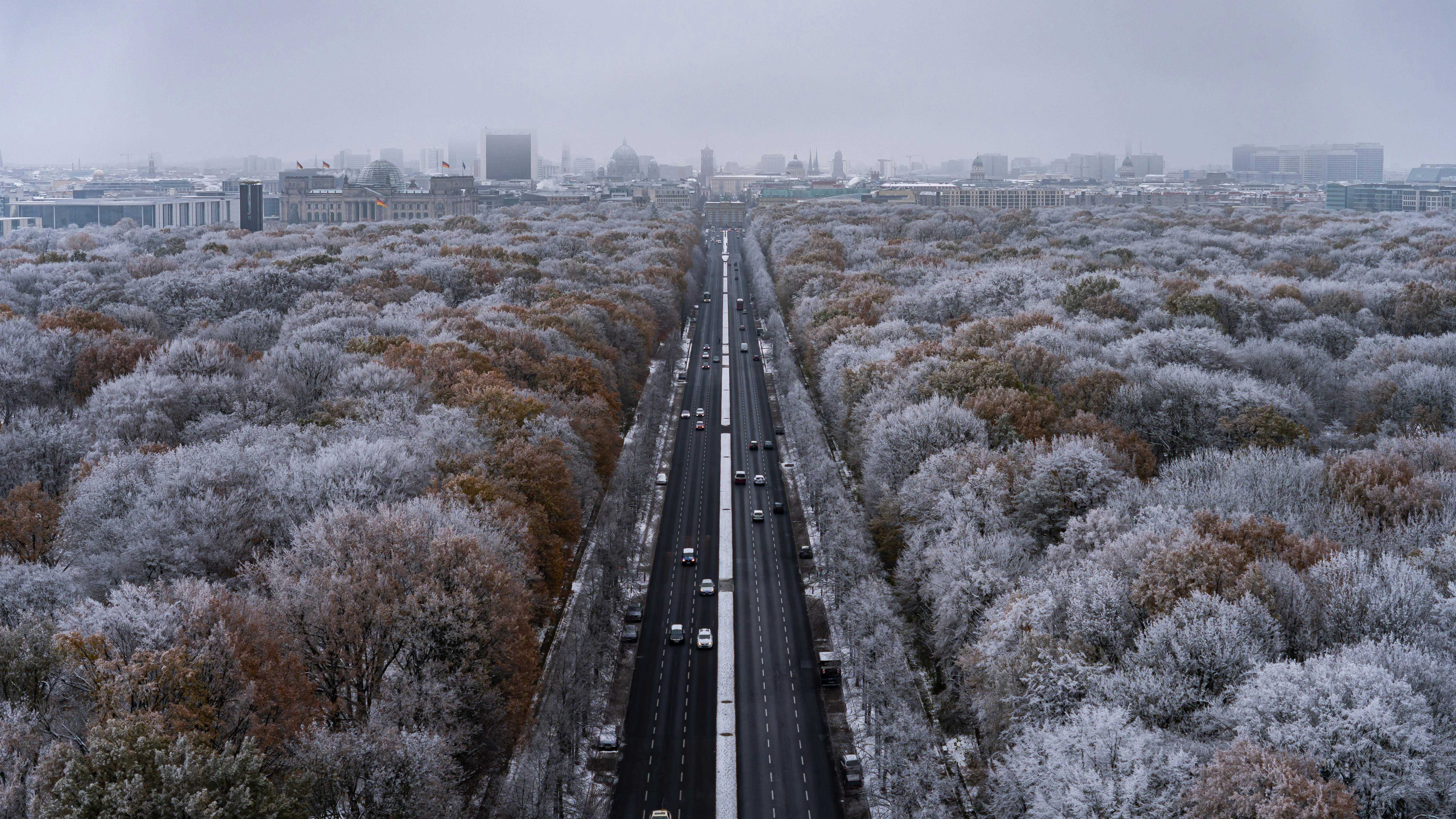 The Frost-Kissed Spine: A Highway Slicing Through a Winter-Quiet Forest