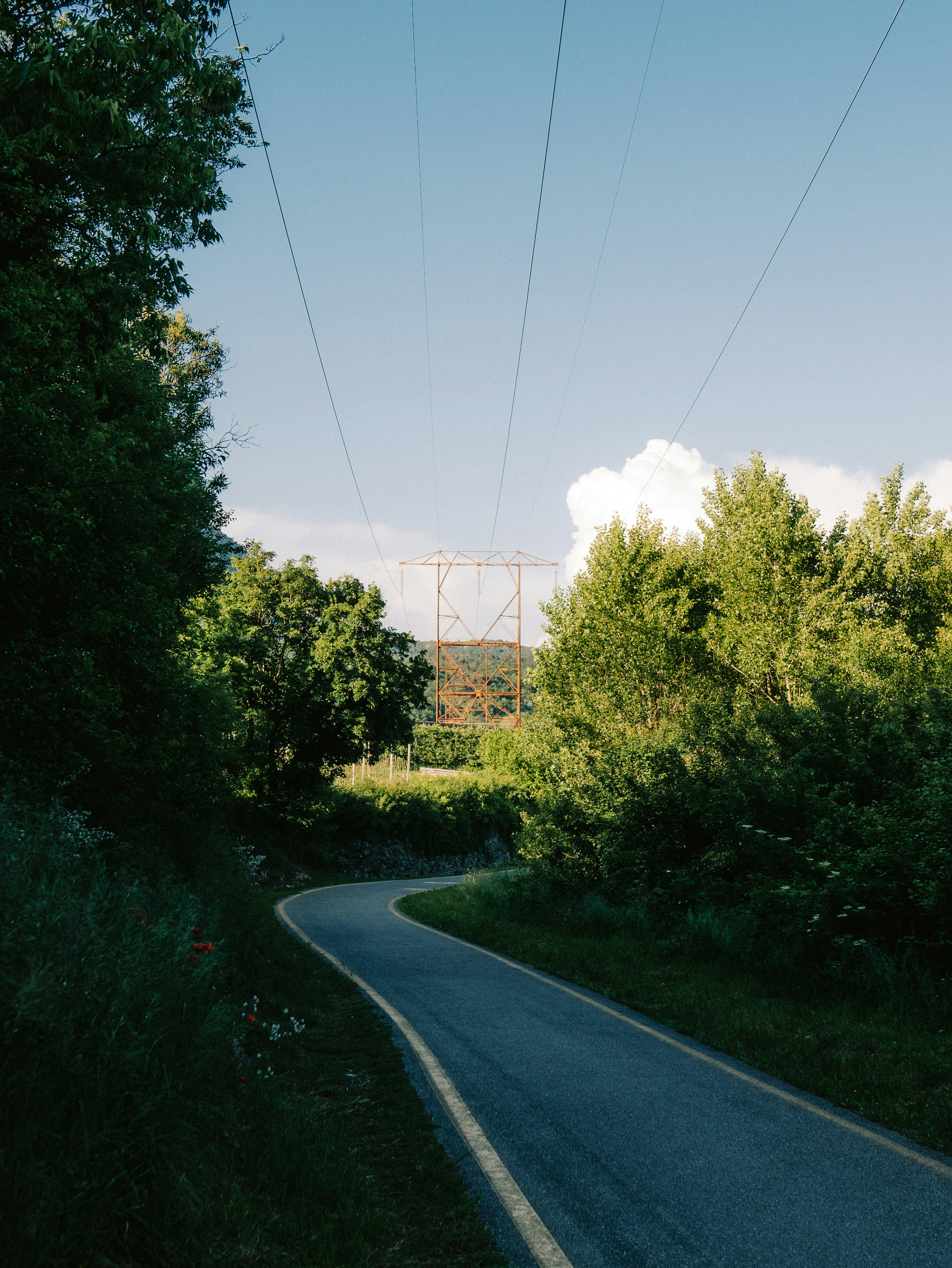 Winding Path to a Distant Lattice: A Quiet Power Line Portrait