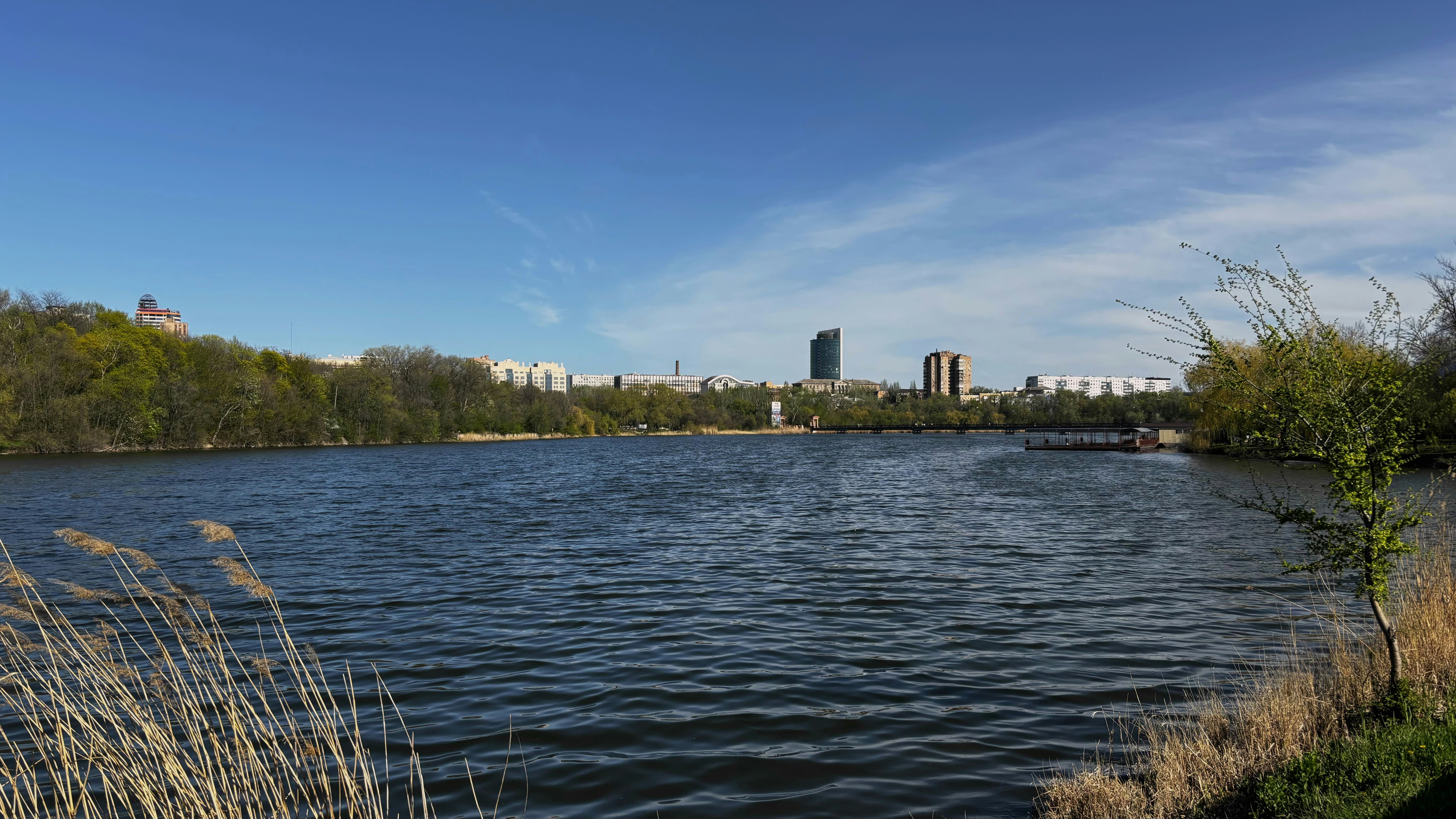 Tranquil lake reflecting the skyline, framed by lush greenery and tall grasses. A blend of urban architecture and natural beauty.