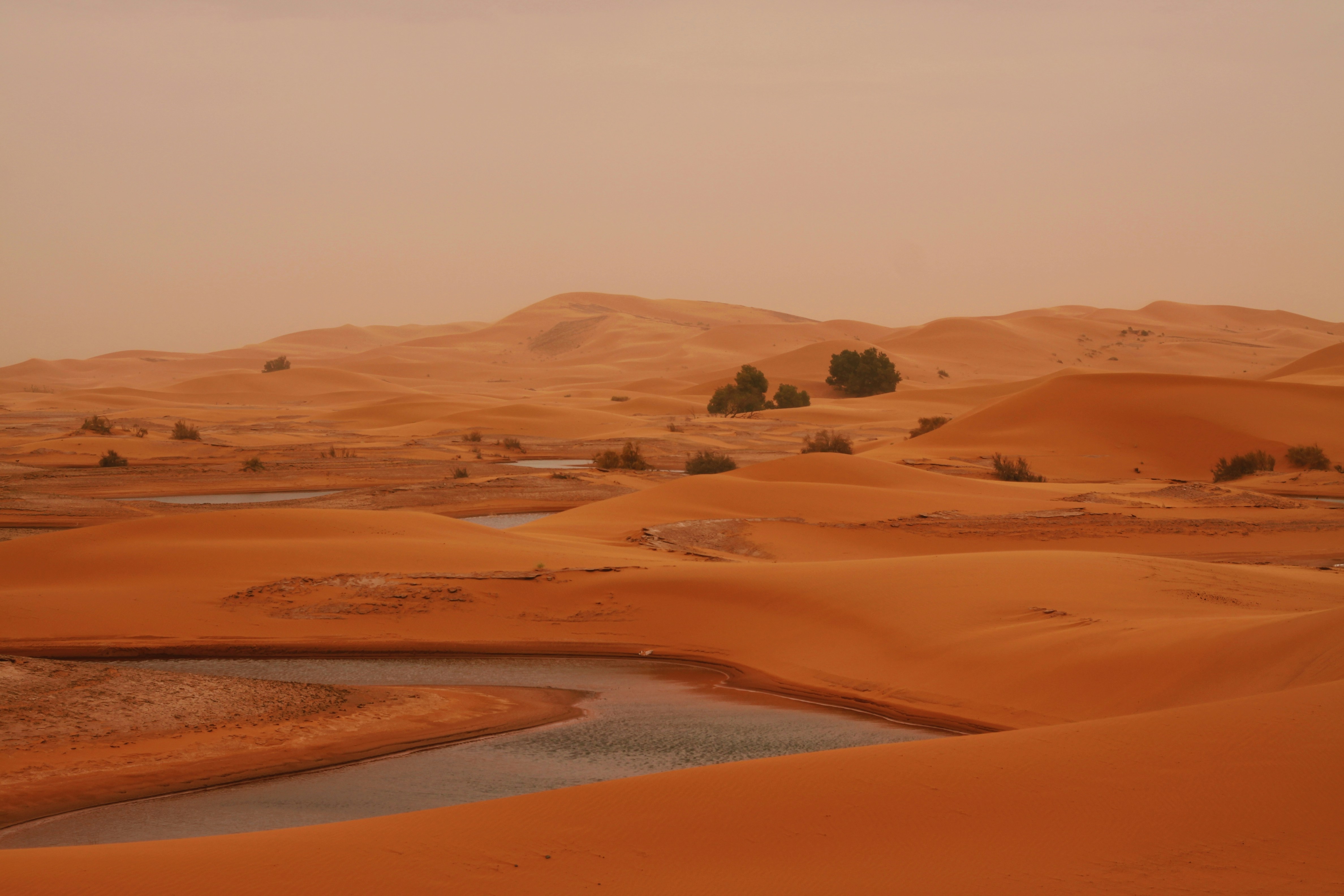 Ember Vein: A Narrow River Winding Between Red Dunes