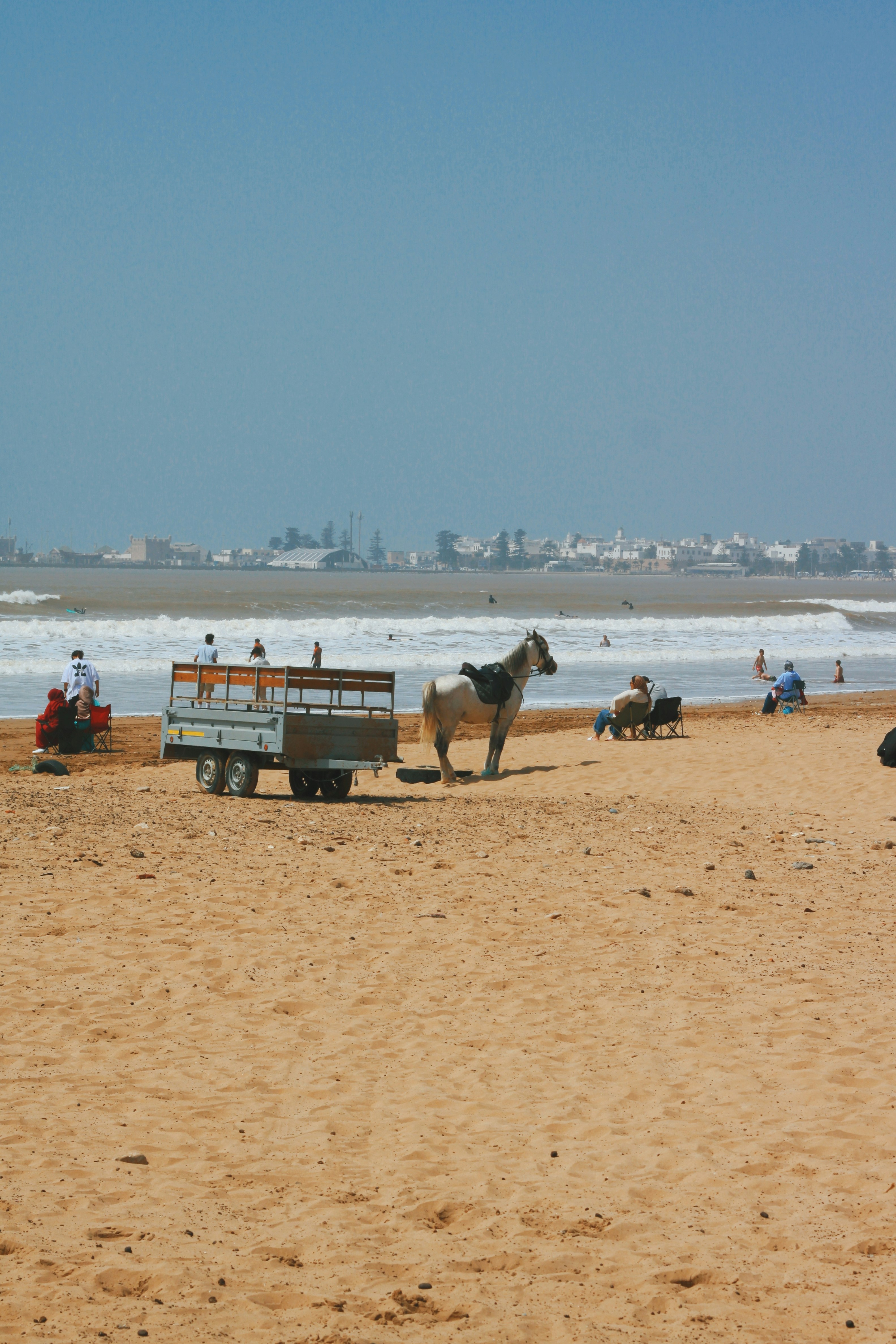 Horse-Drawn Wagon on a Quiet Beach Under a Wide Sky