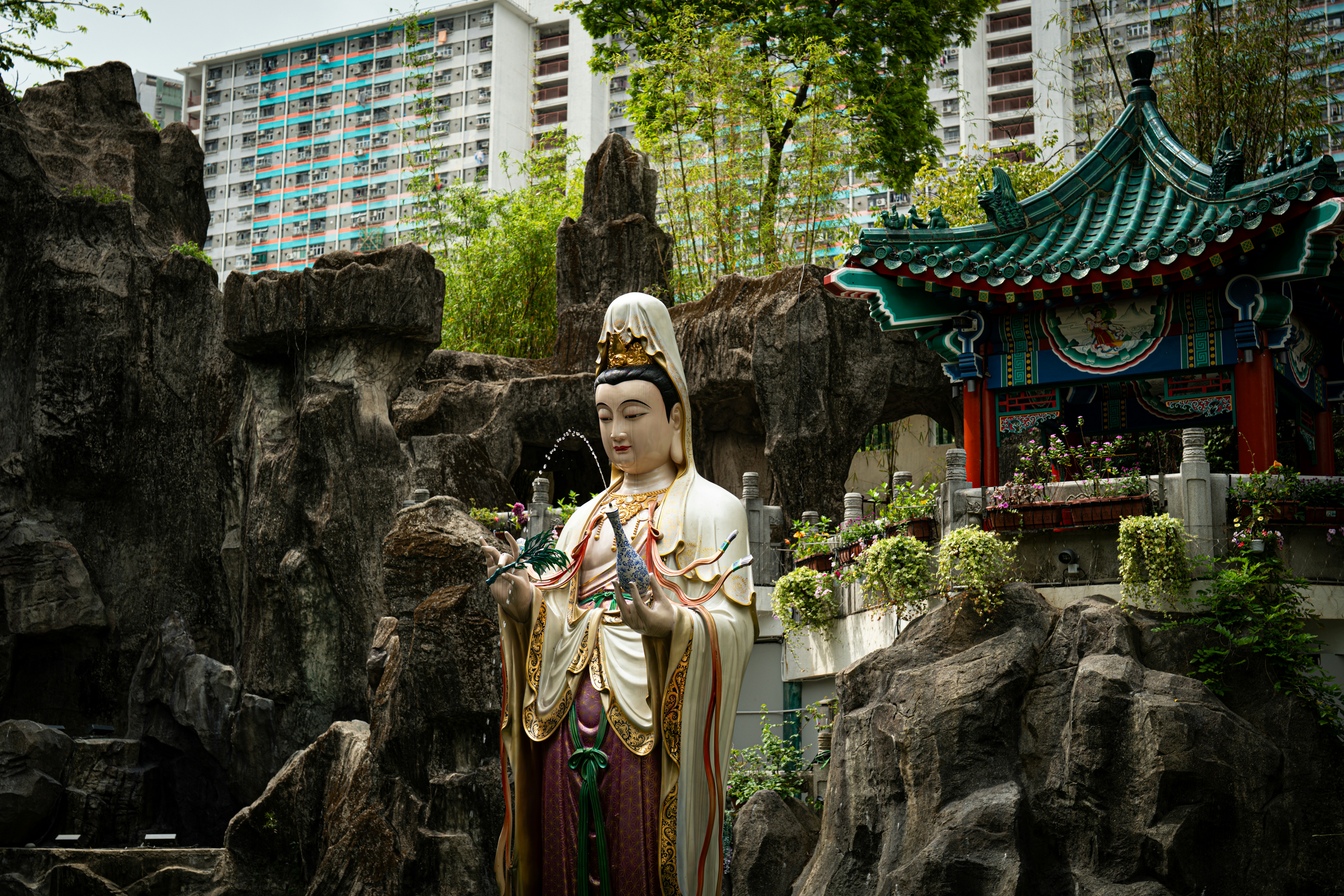 Photo by Sam Szuchan with Sony Alpha 7 IV