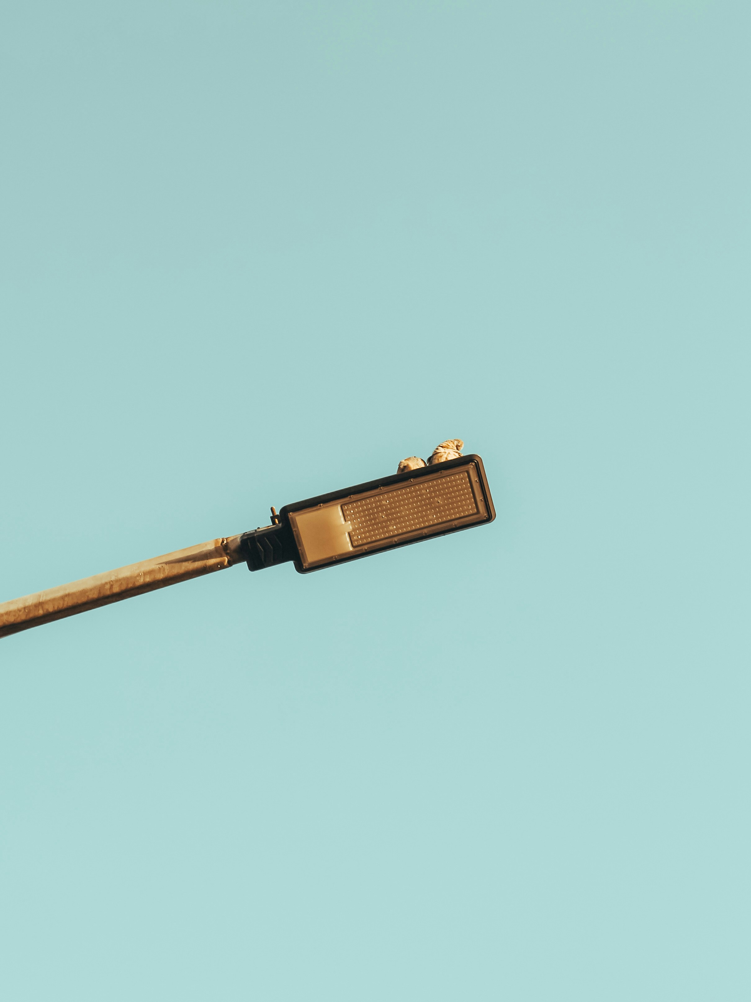 Pickaxe Pictures | Download Free Images on Unsplash