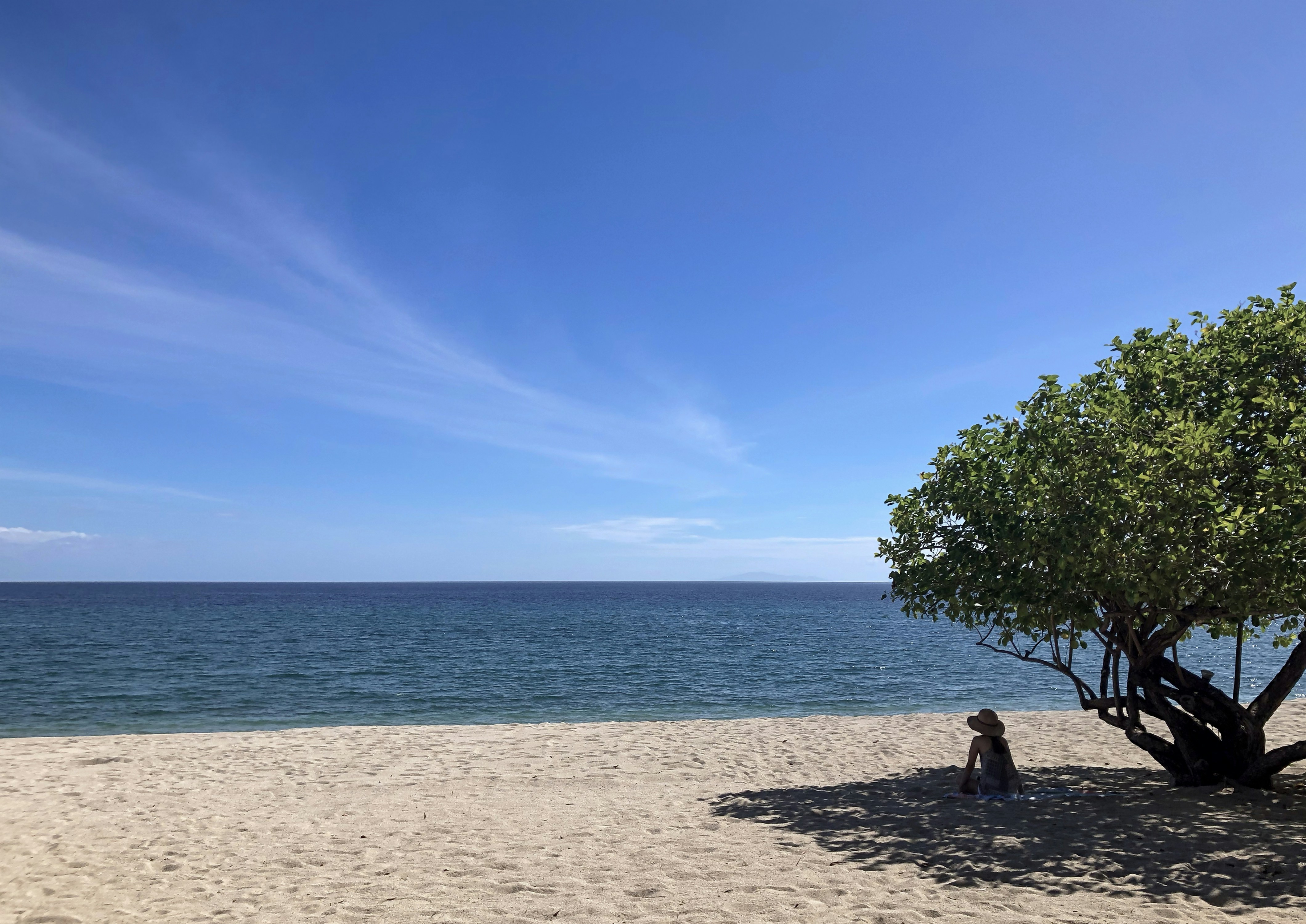 A solitary figure sits on a sandy beach, shaded by a lush tree, gazing out at the tranquil sea under a clear blue sky.