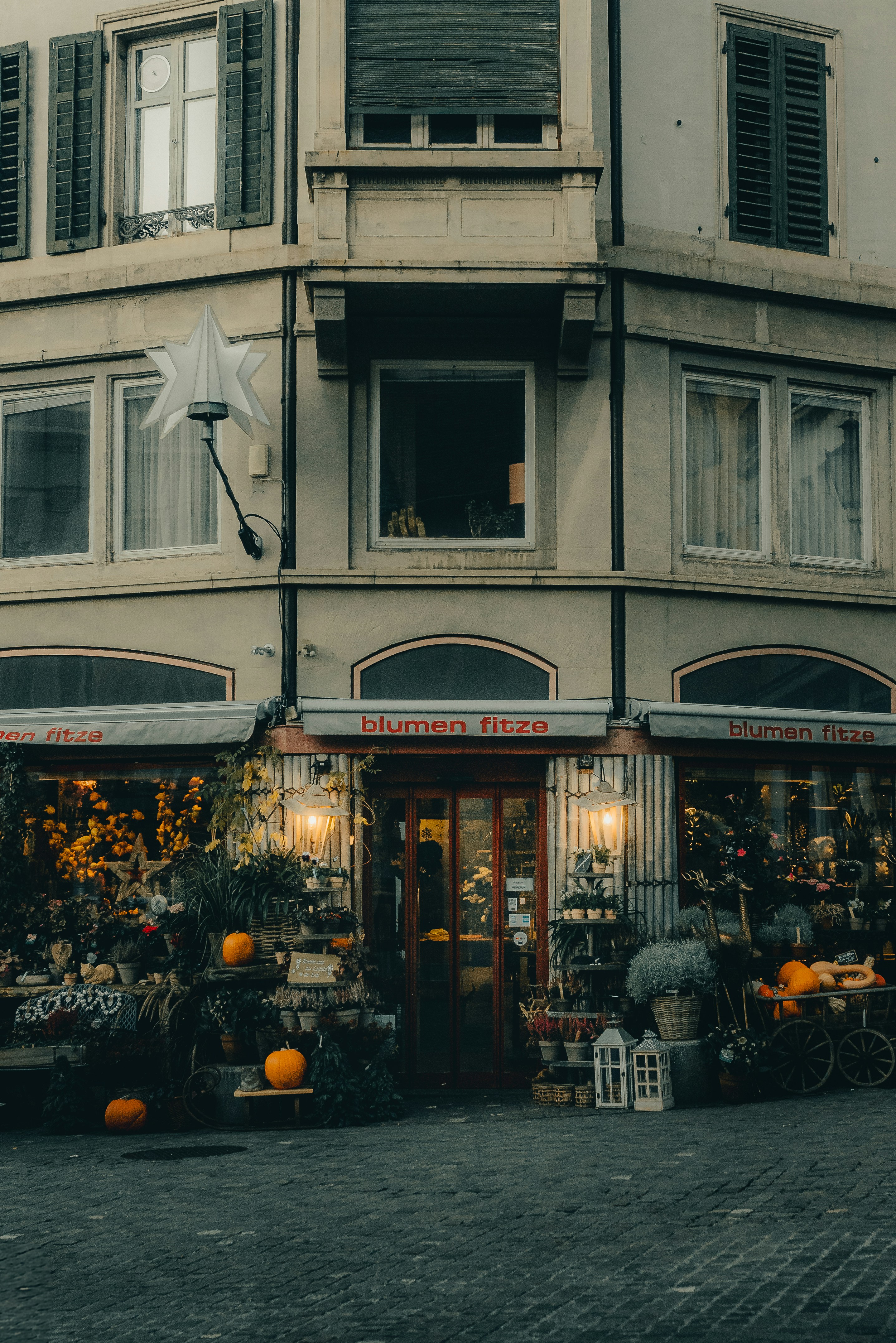 A cozy flower shop on a european street. photo – Free Cinematic Image ...