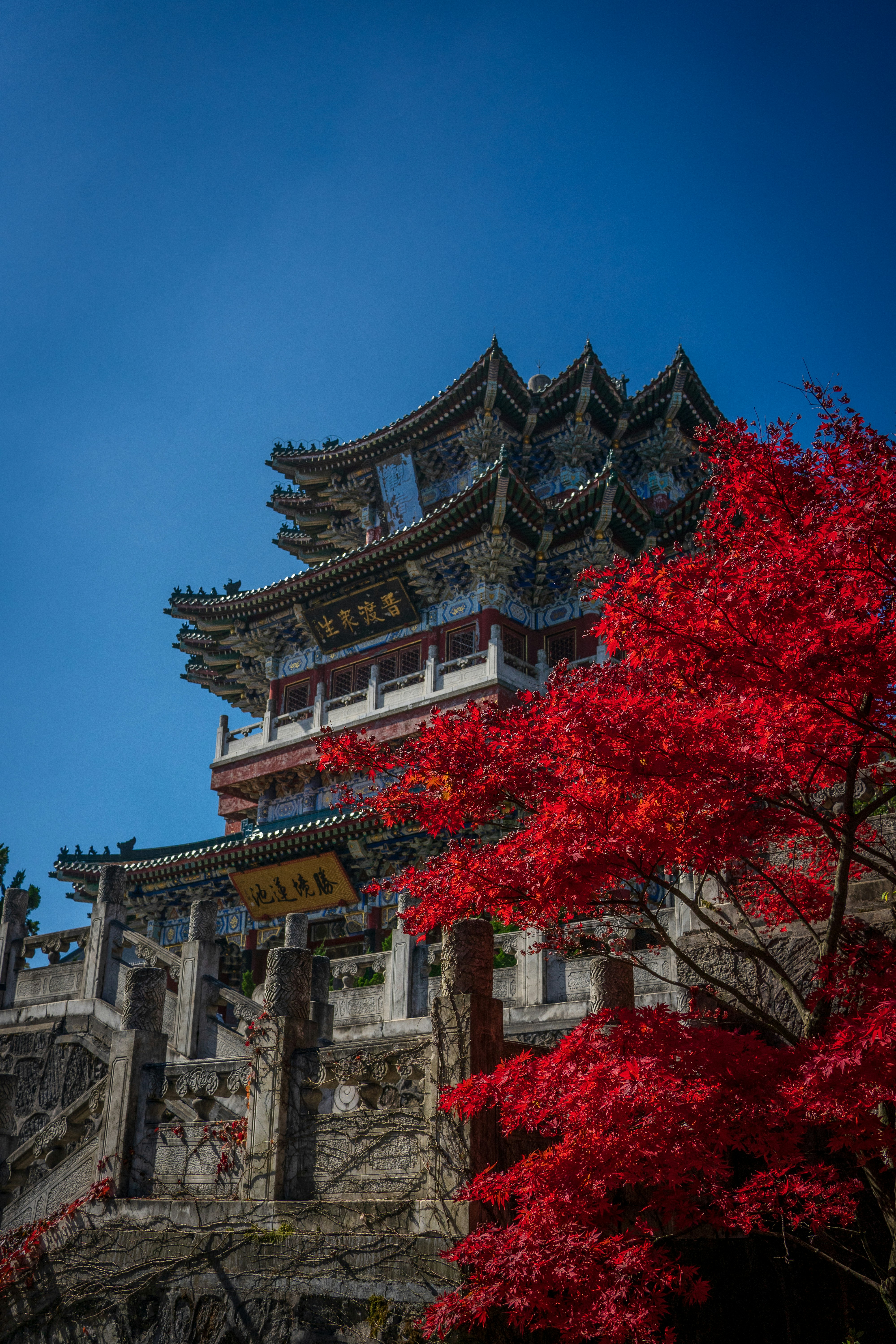 Crimson Foliage Framing a Blue-Sky Pagoda at a Mountain Temple