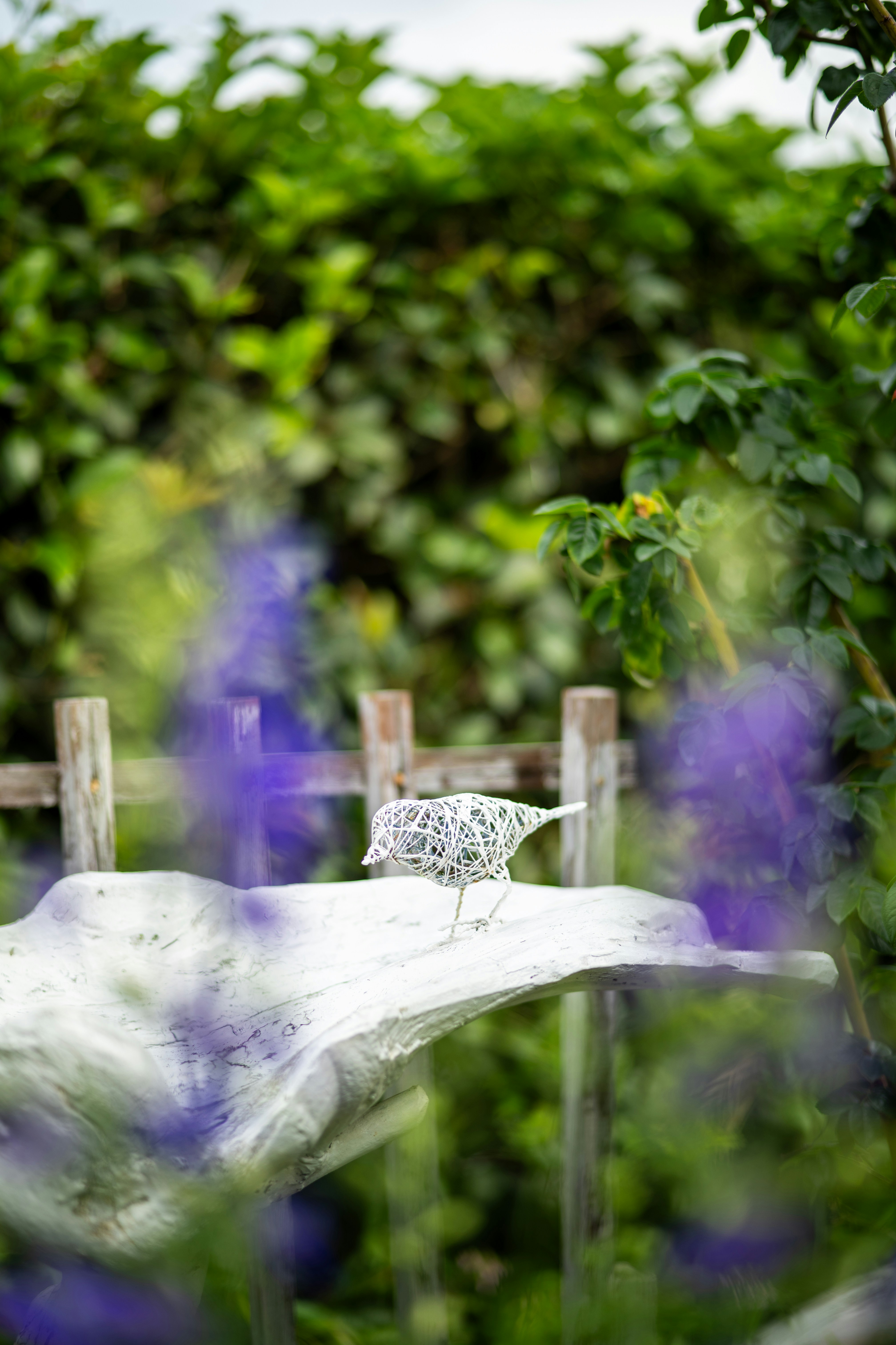 Lattice Bird on a Driftwood Stage, Quiet Garden Blurred by Lavender