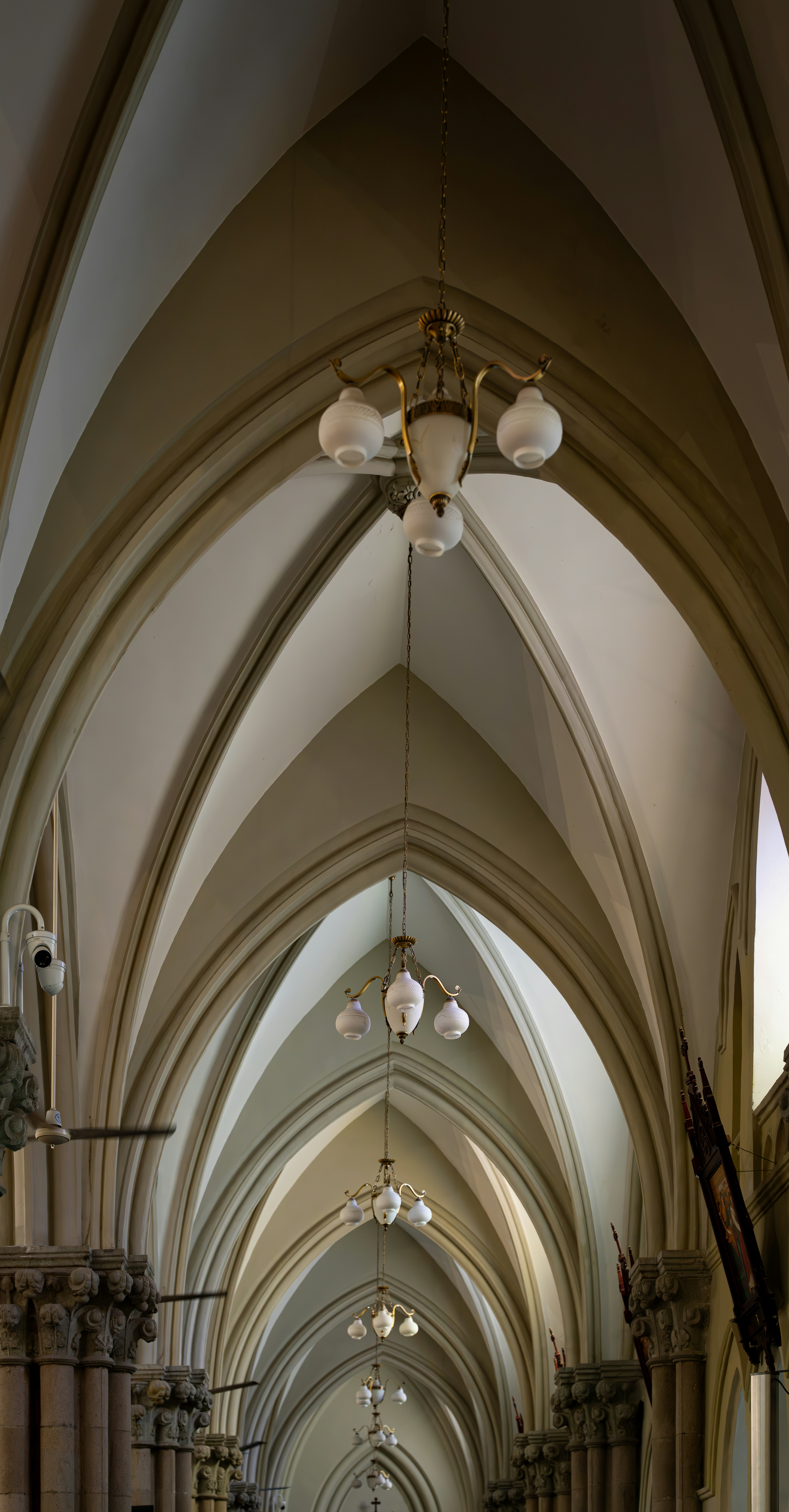 Photo by Declan Sun with Sony Alpha 7R V