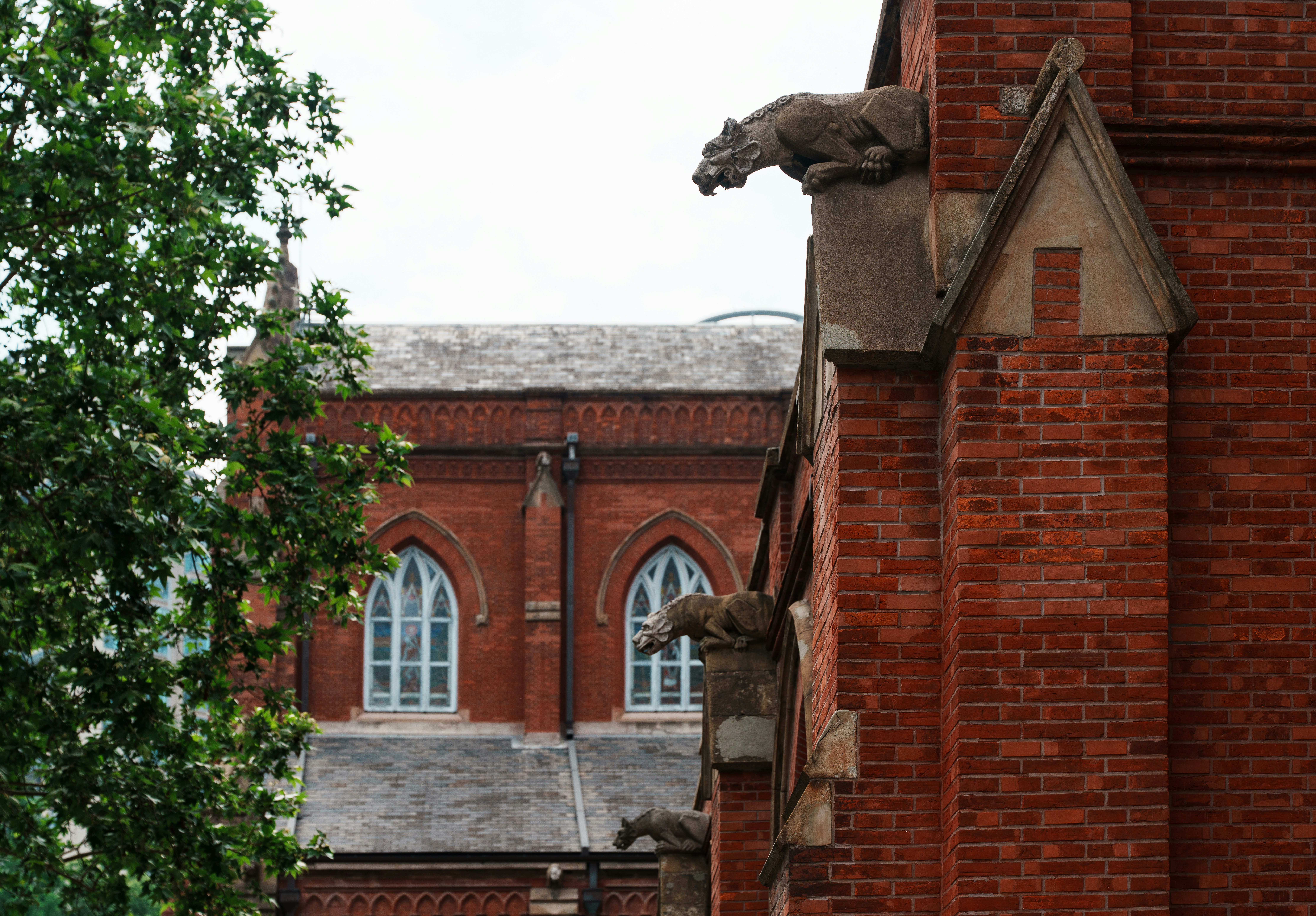 Gargoyle Guardians and Red Brick: A Gothic Urban Facade