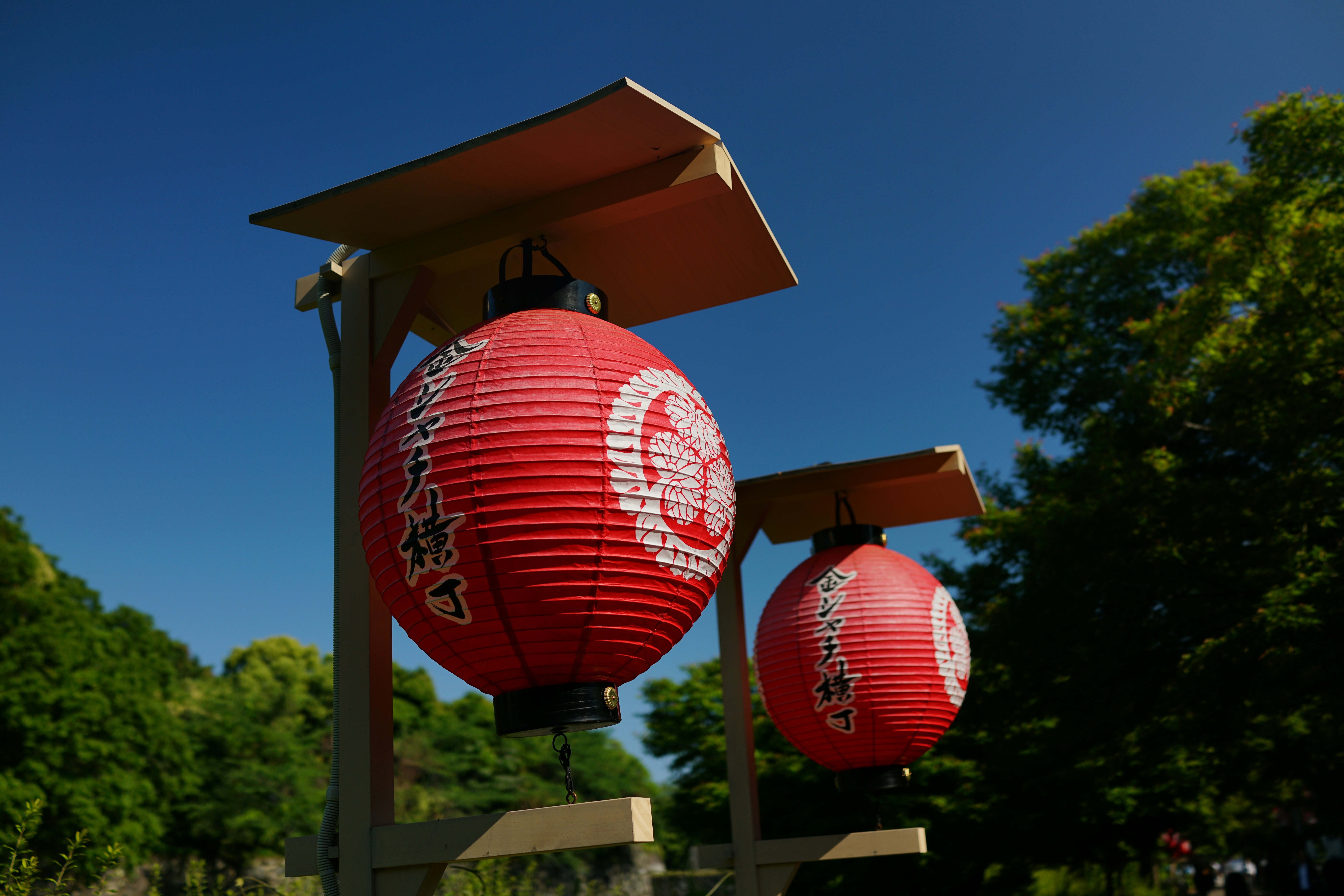 Crimson Lanterns Framing a Sunlit Path in a Japanese Garden
