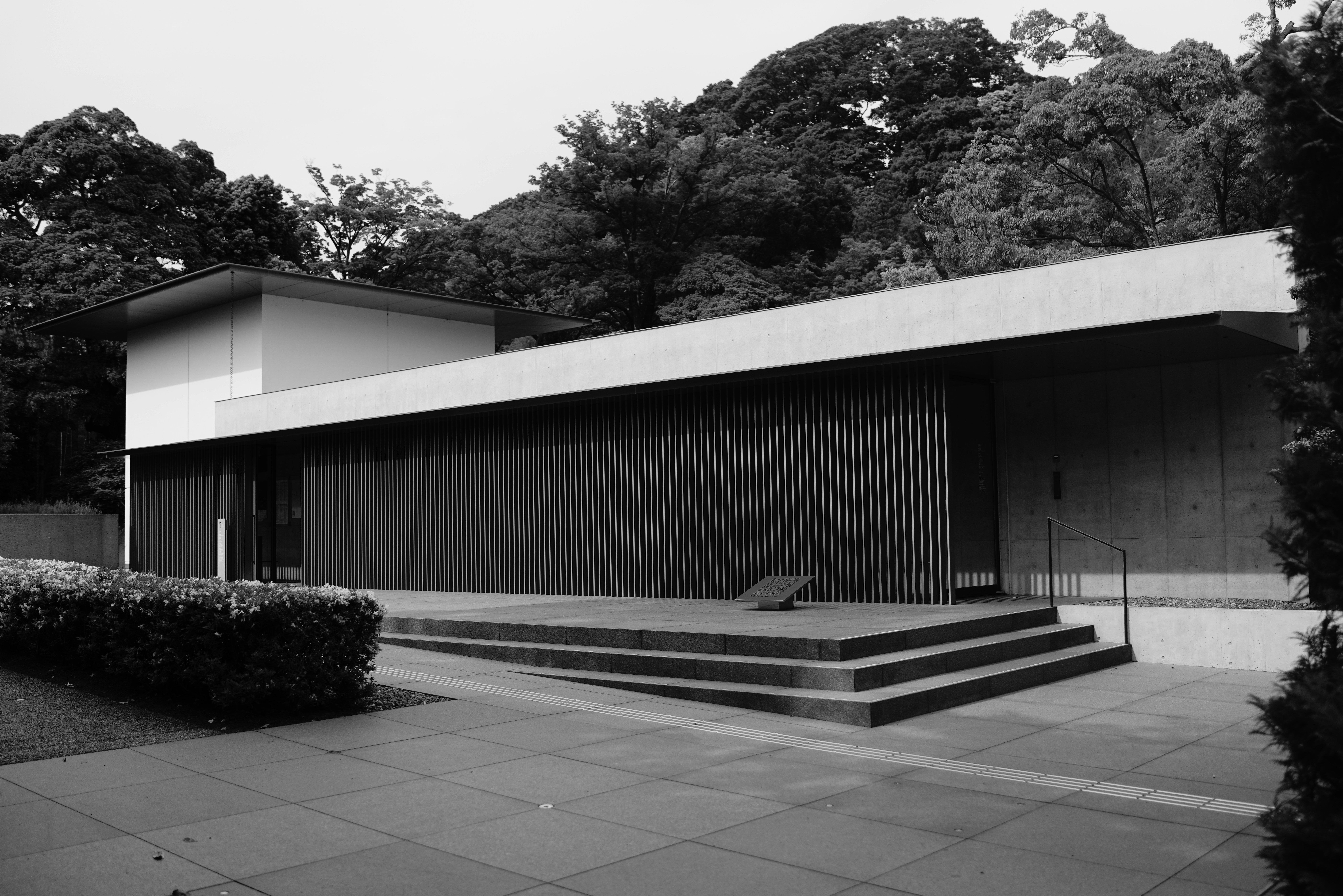 Modern architecture amidst lush greenery.