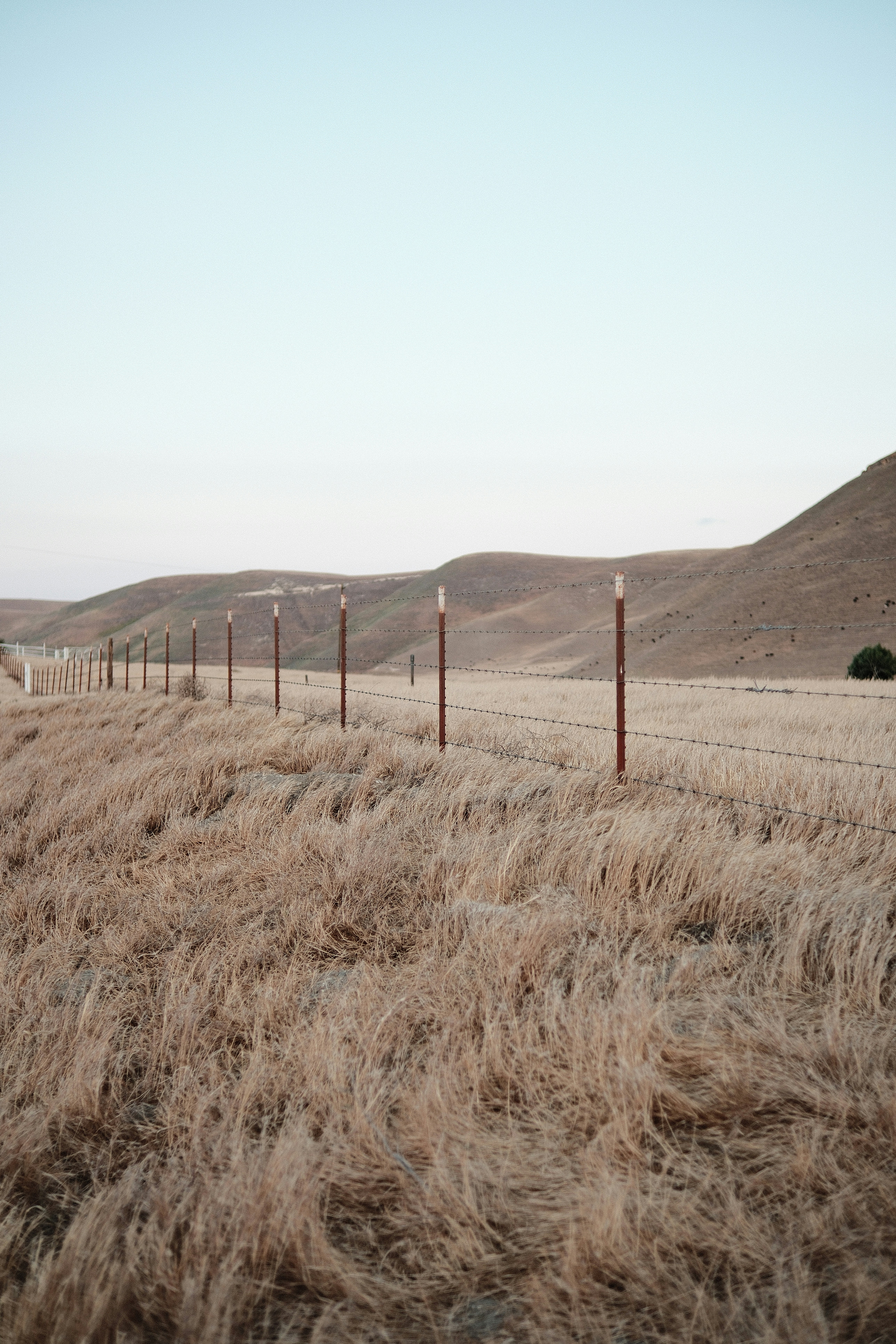 Photo by Jacob Padilla with Fujifilm X-T5