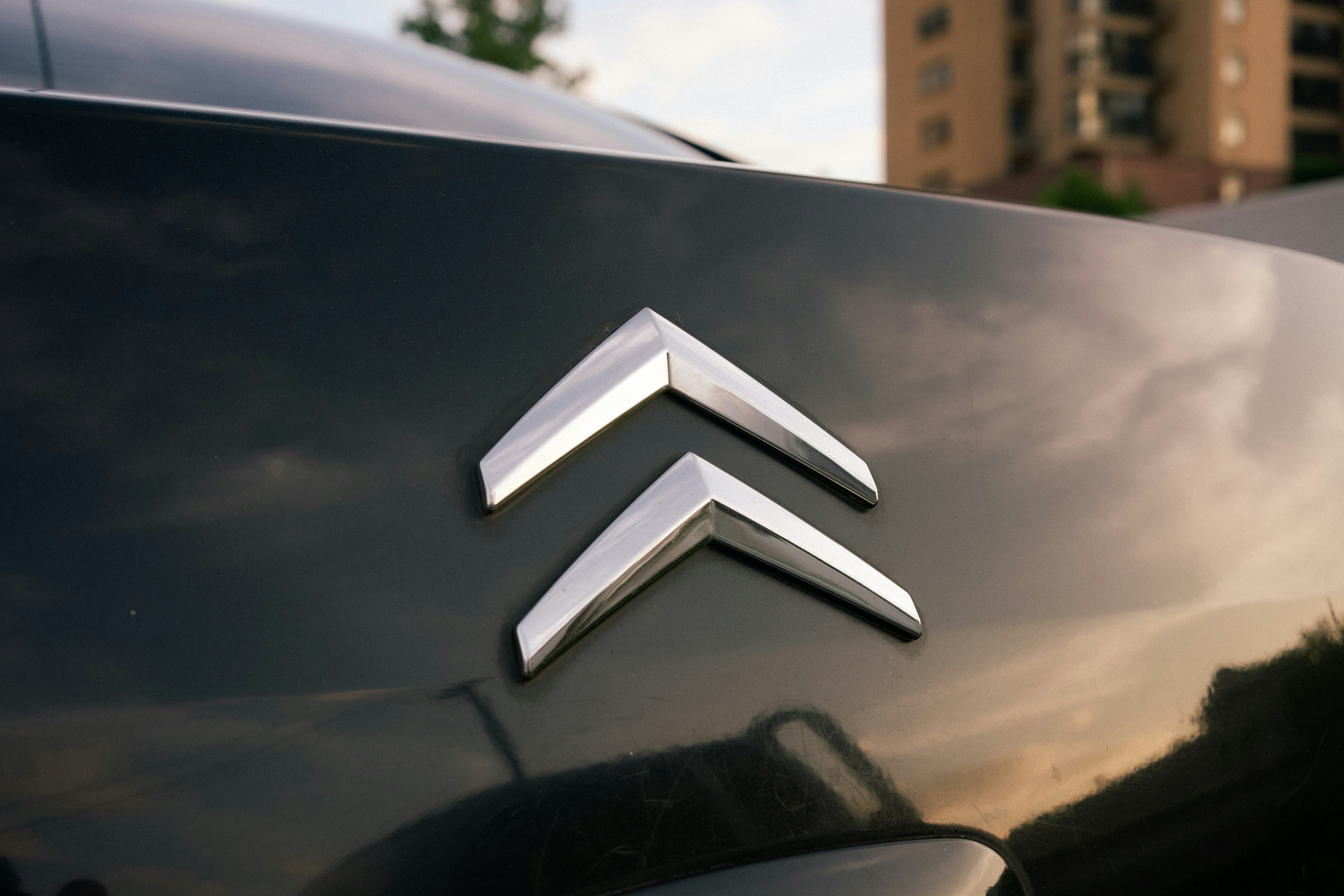 Citroen logo on a car's rear. photo – Free Logo Image on Unsplash