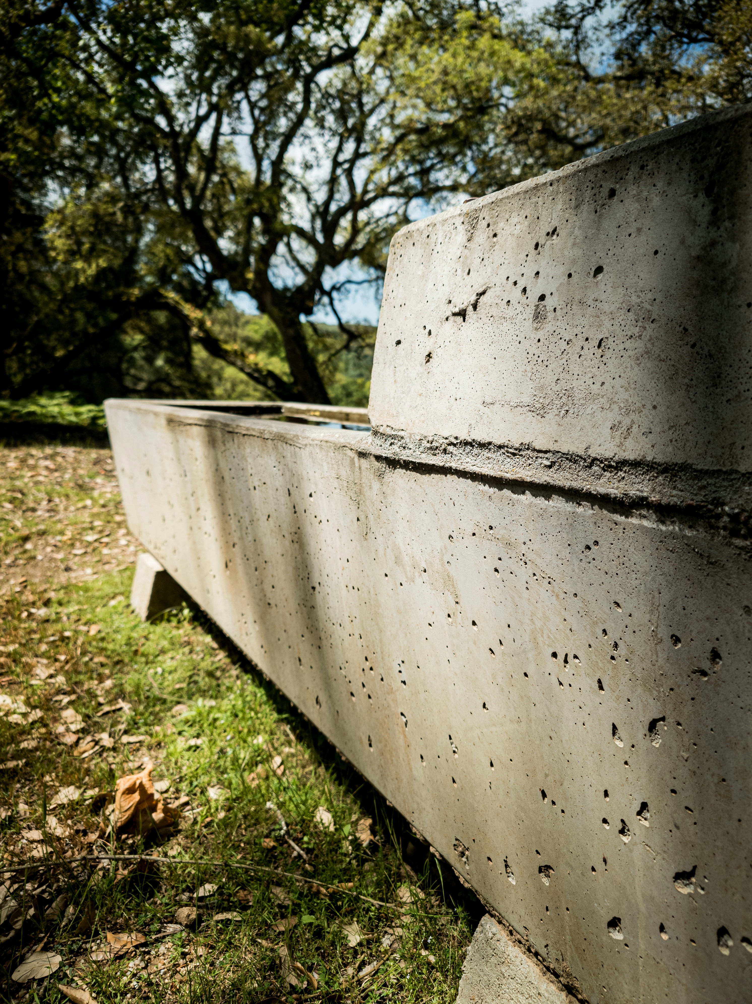 A close-up view of a textured concrete structure nestled in a lush green landscape, showcasing the harmony between nature and modern architecture.