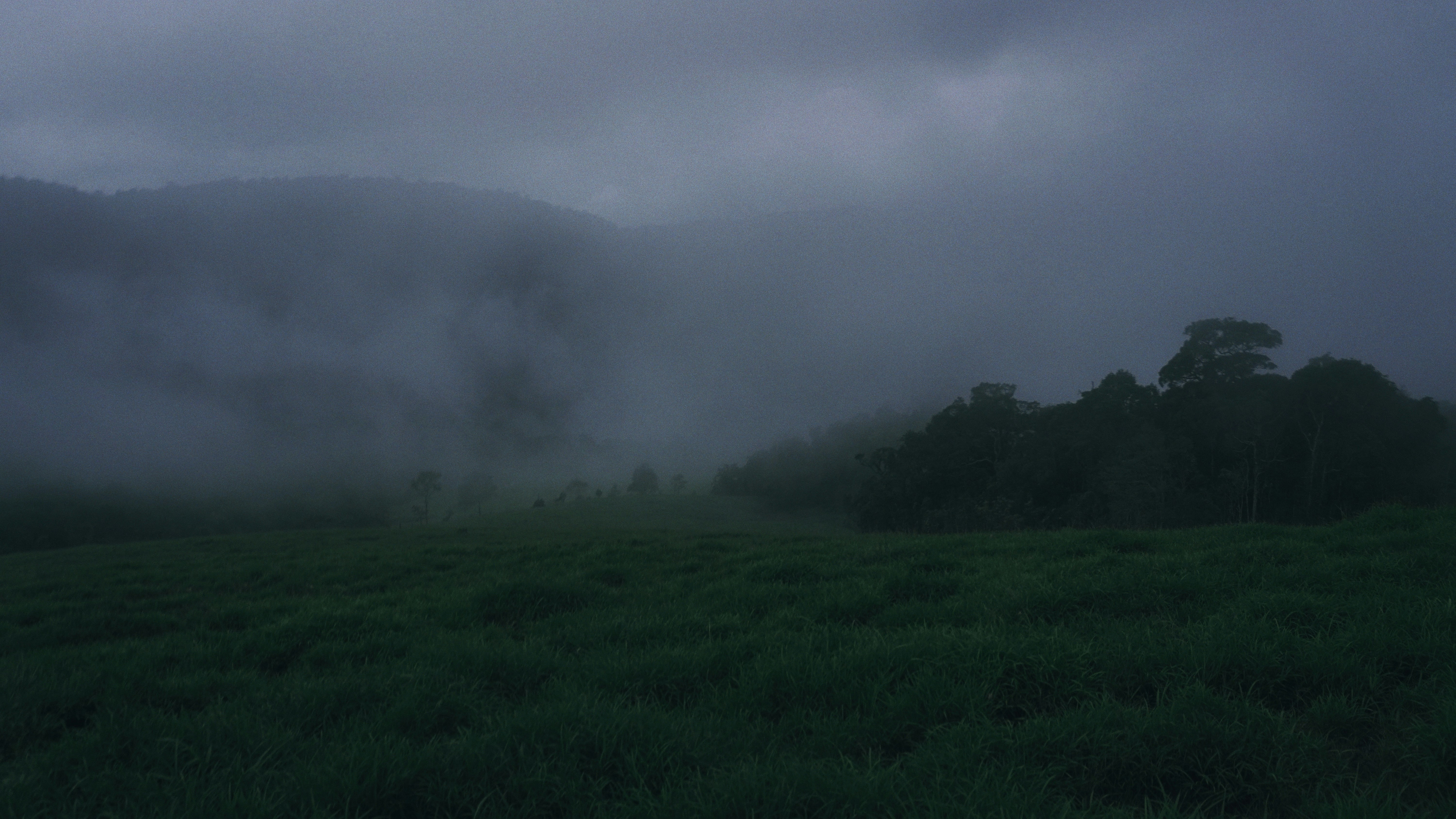 Mist Veil Over a Quiet Ridge Field