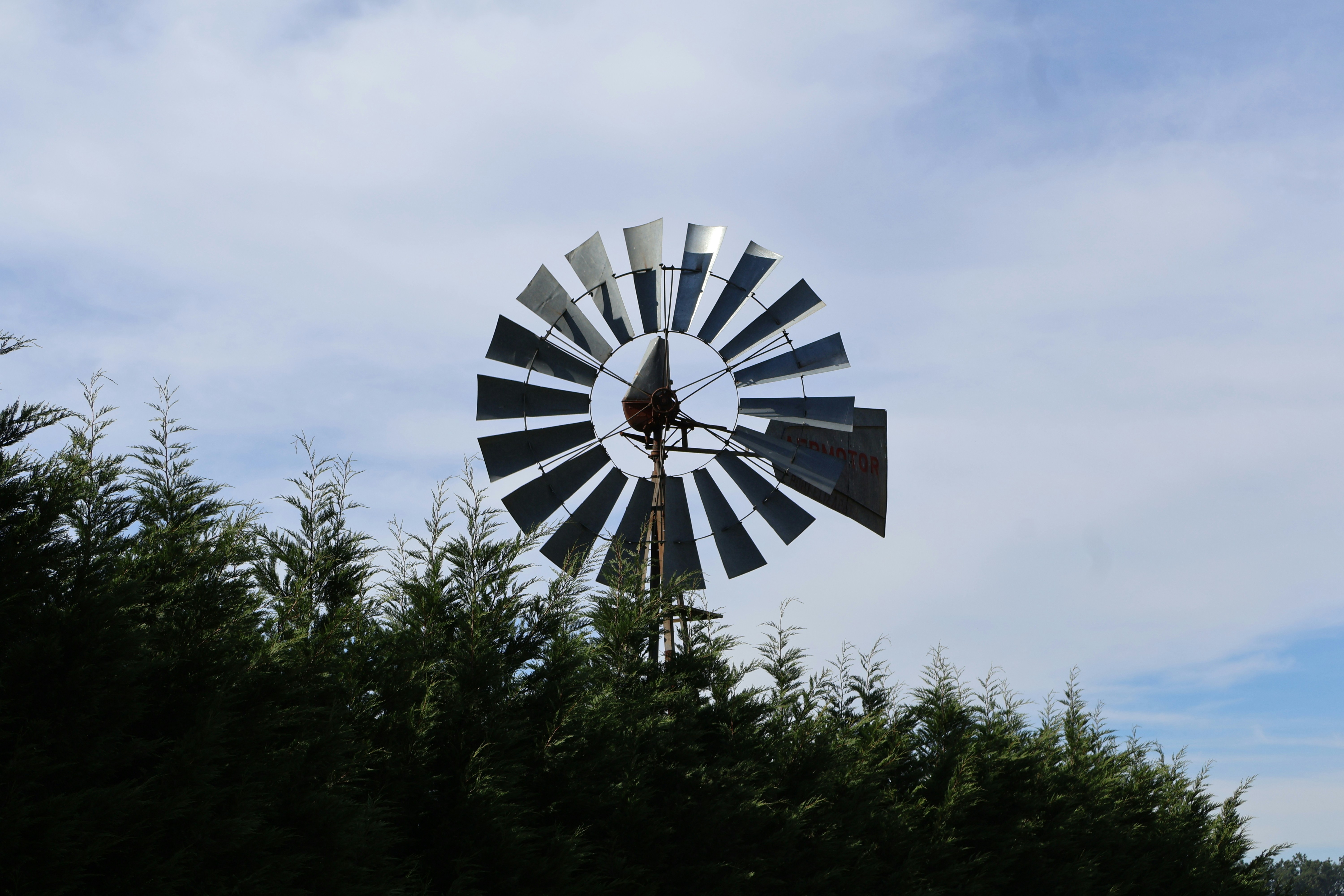 Photo by Lilishia Gounder with Canon EOS R50