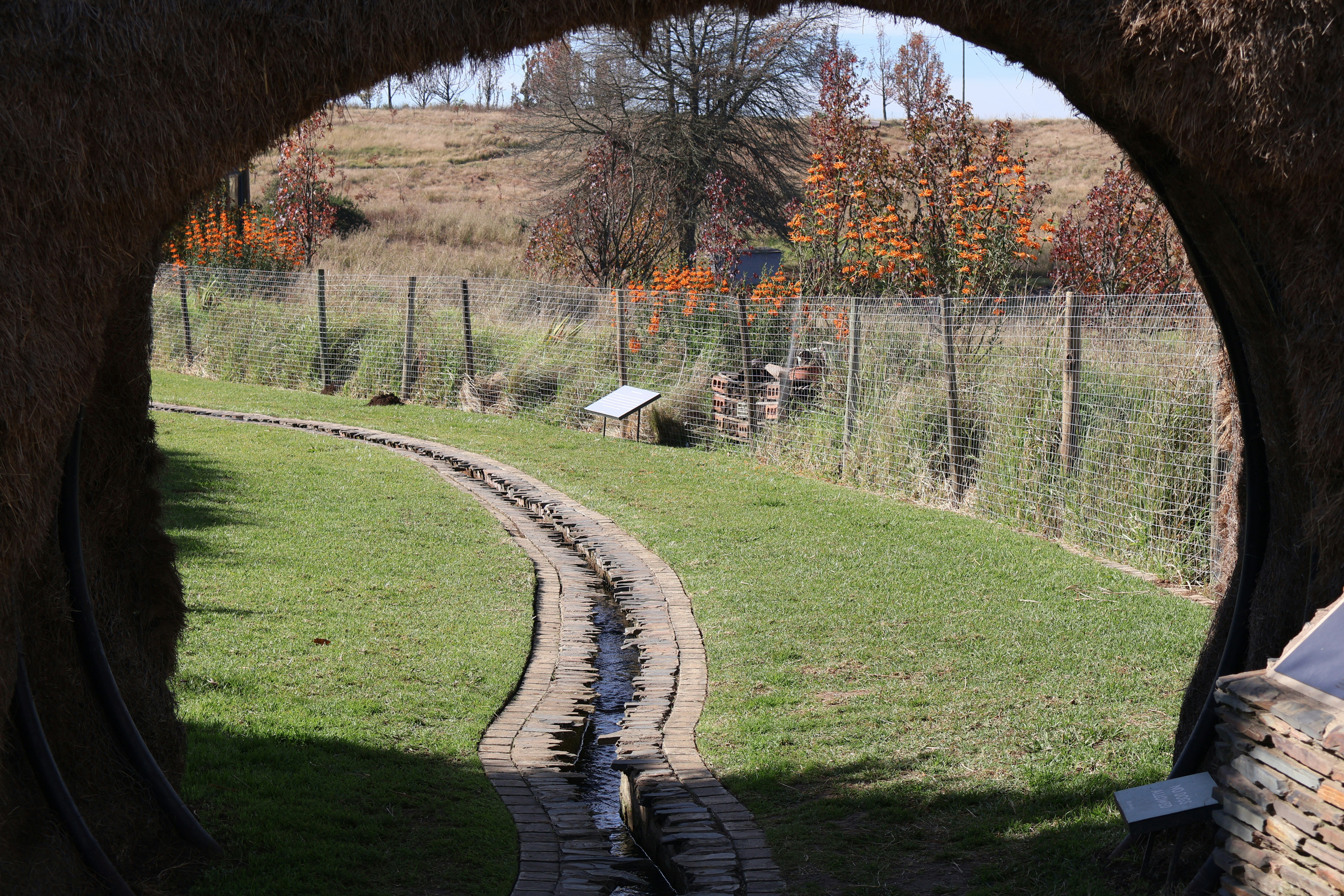 Curved Boardwalk into Light: Autumn Meadow Beyond the Tunnel