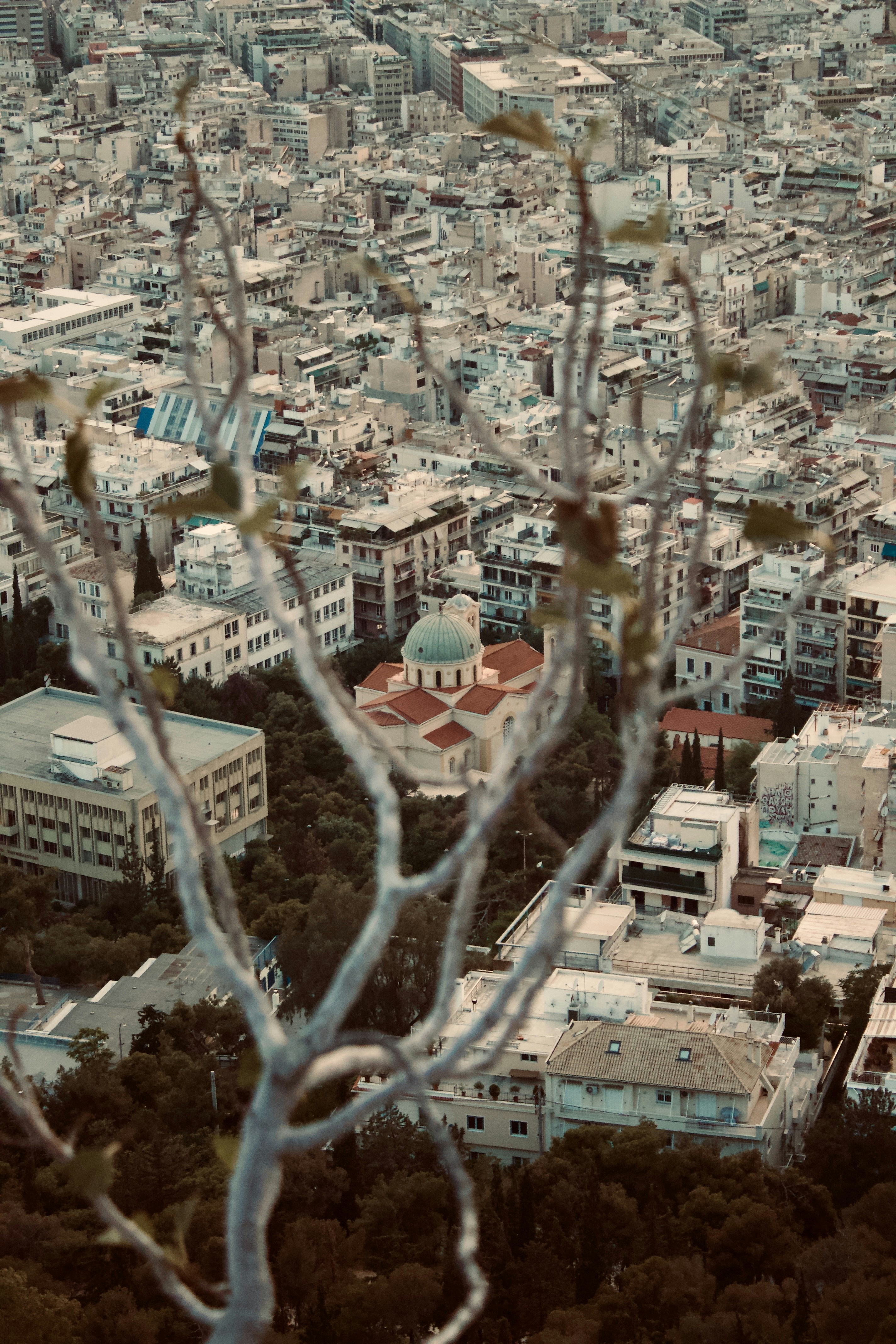 Photo by Trey Joseph-welch with Canon EOS 1100D