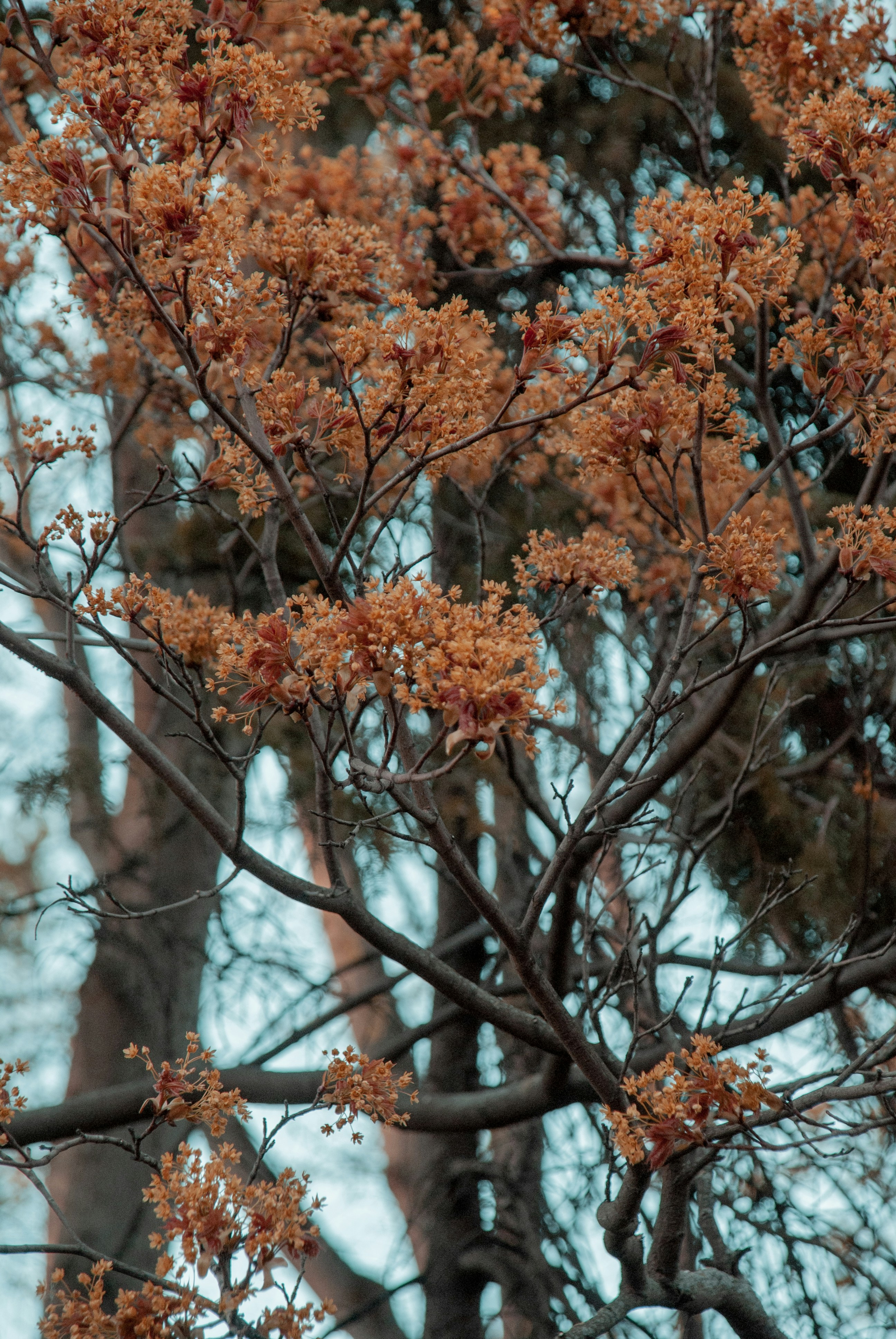 Photo by Kate Utkina with Sony Alpha 200