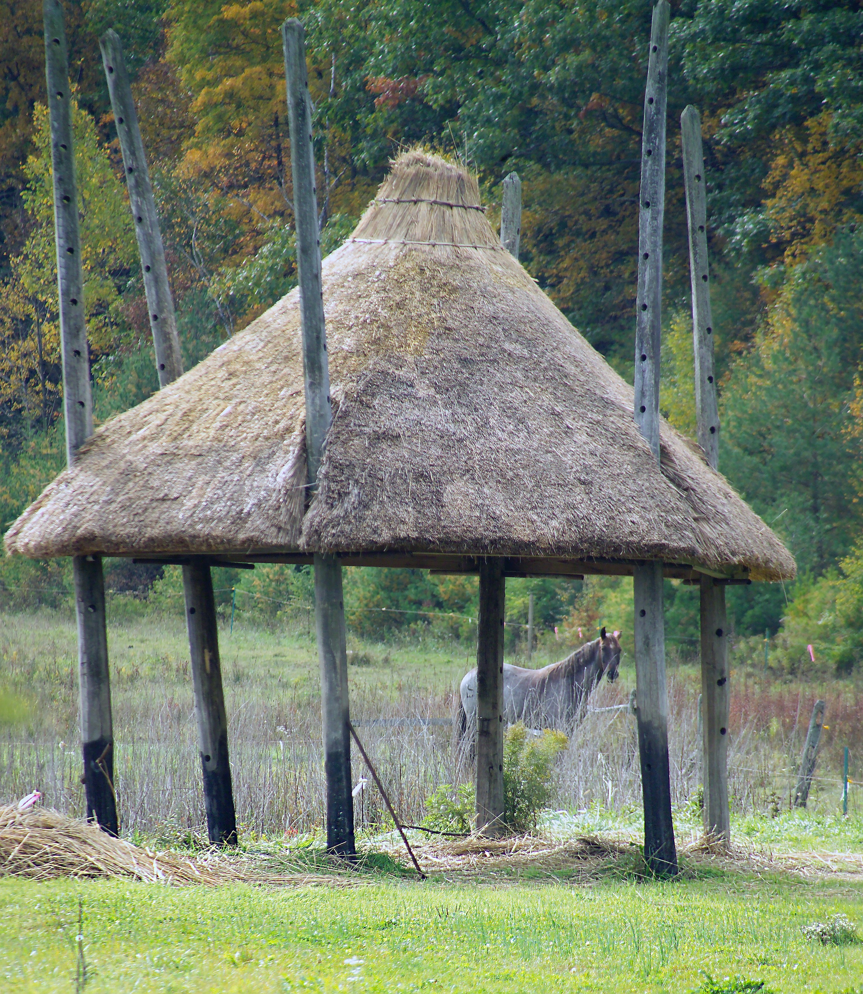 Sample photo from Kodak Professional DCS Pro 14n