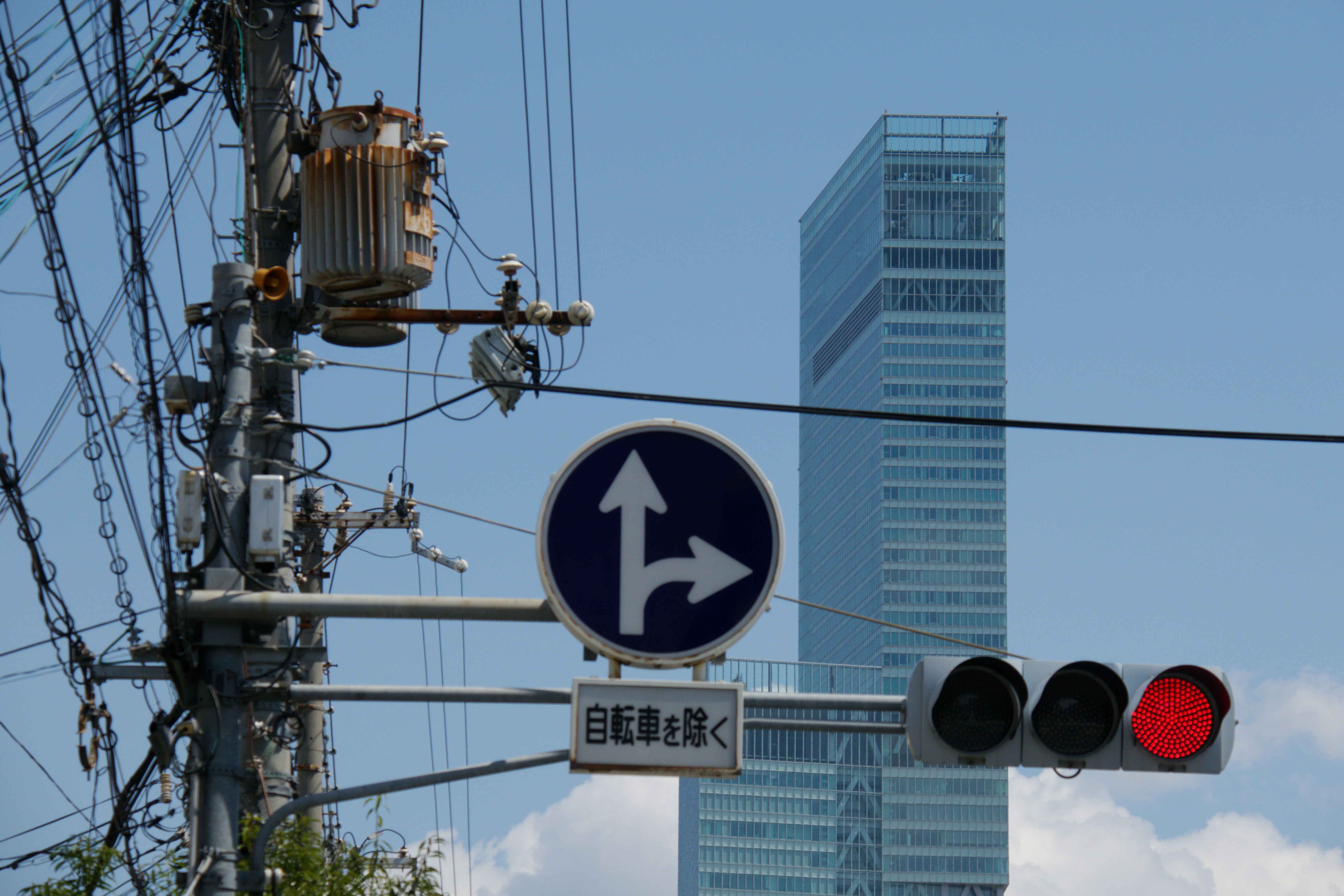 Blue Arrow at the Crossing: Urban Signage Framed by Steel and Glass