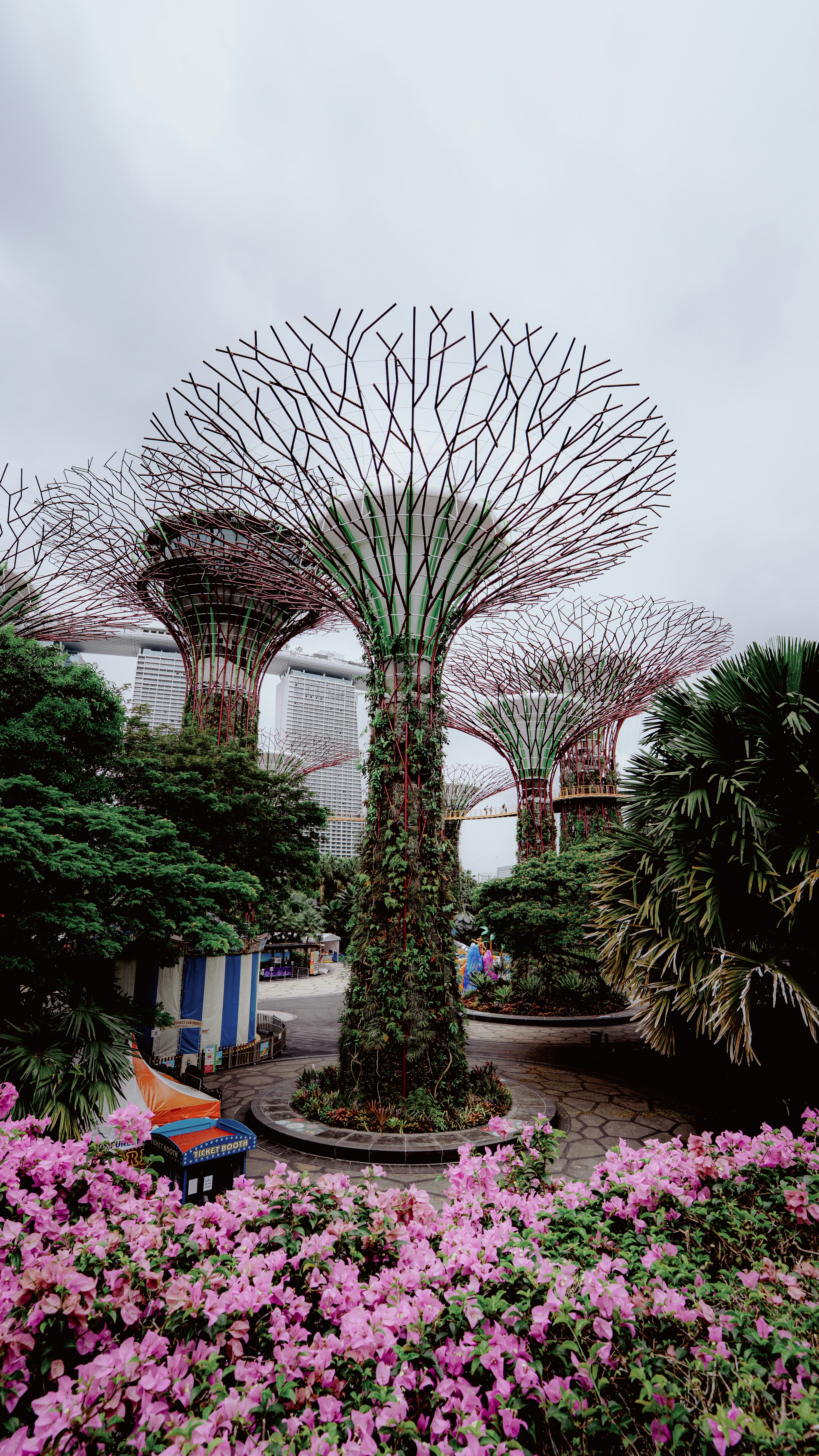 Ivy-Clad Supertrees Rising Over a Pink-Flowered Plaza