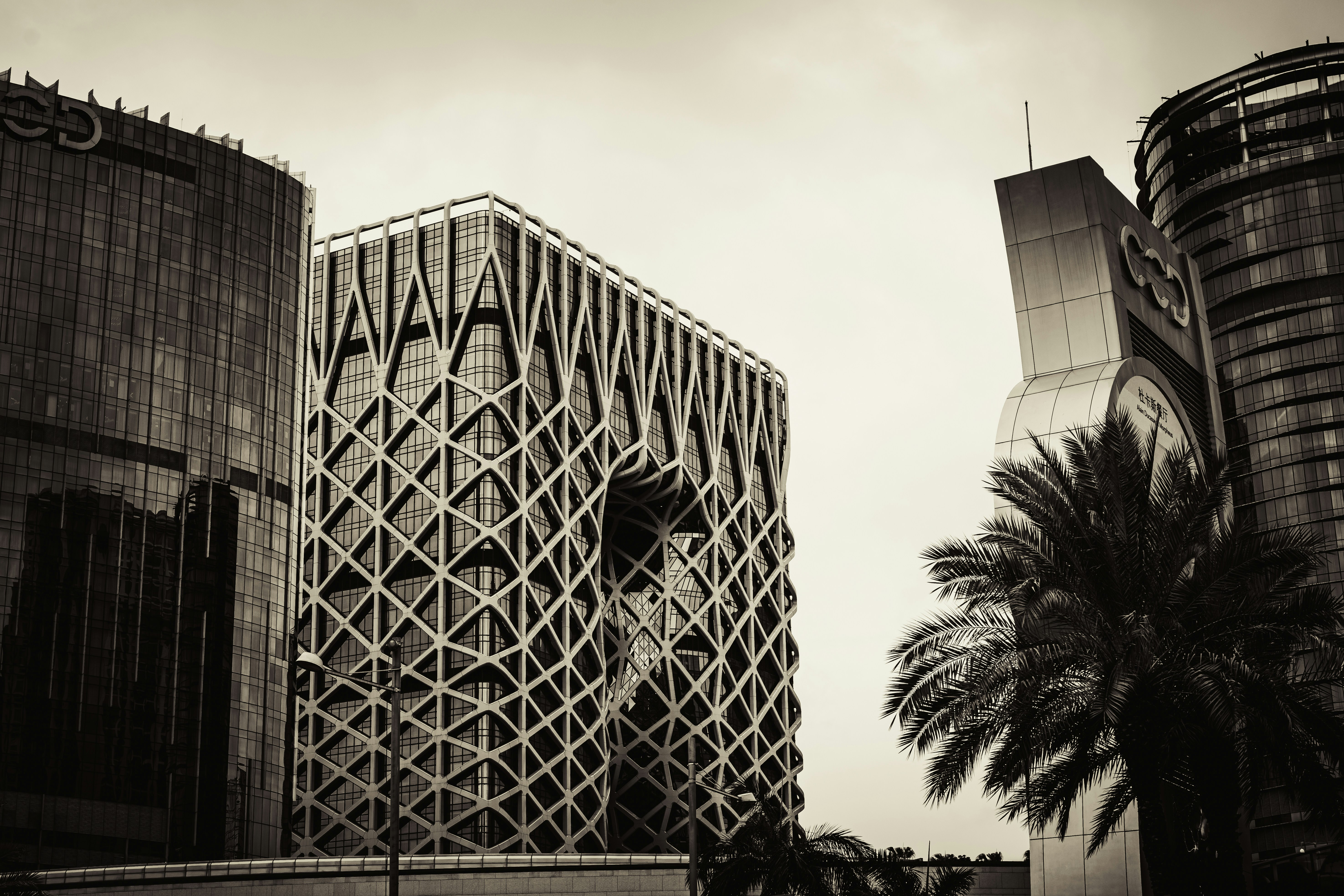Modern buildings with intricate geometric designs juxtaposed against lush palm trees in an urban setting.