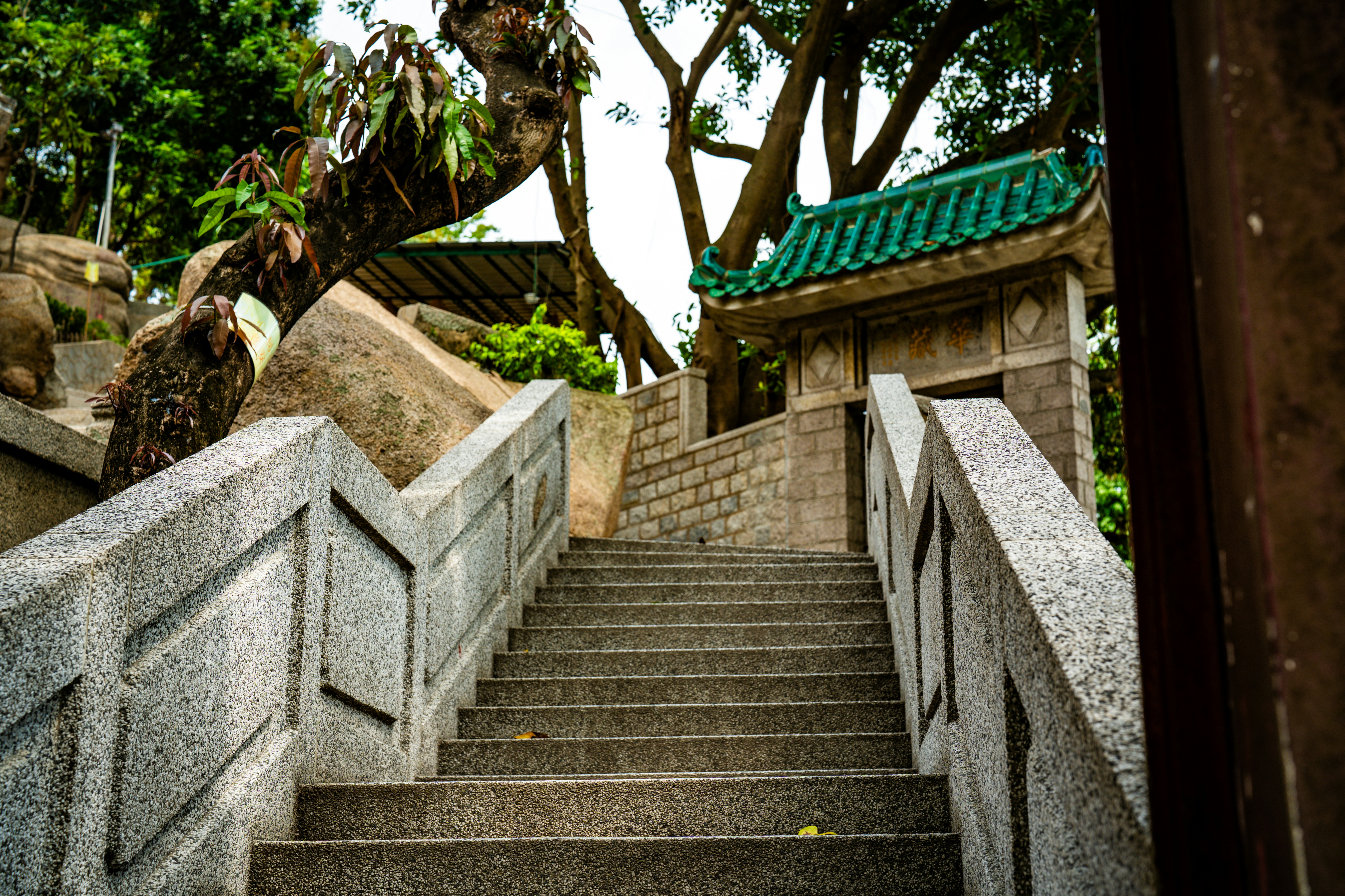 Journey Through Time: The Stairs of Serenity
