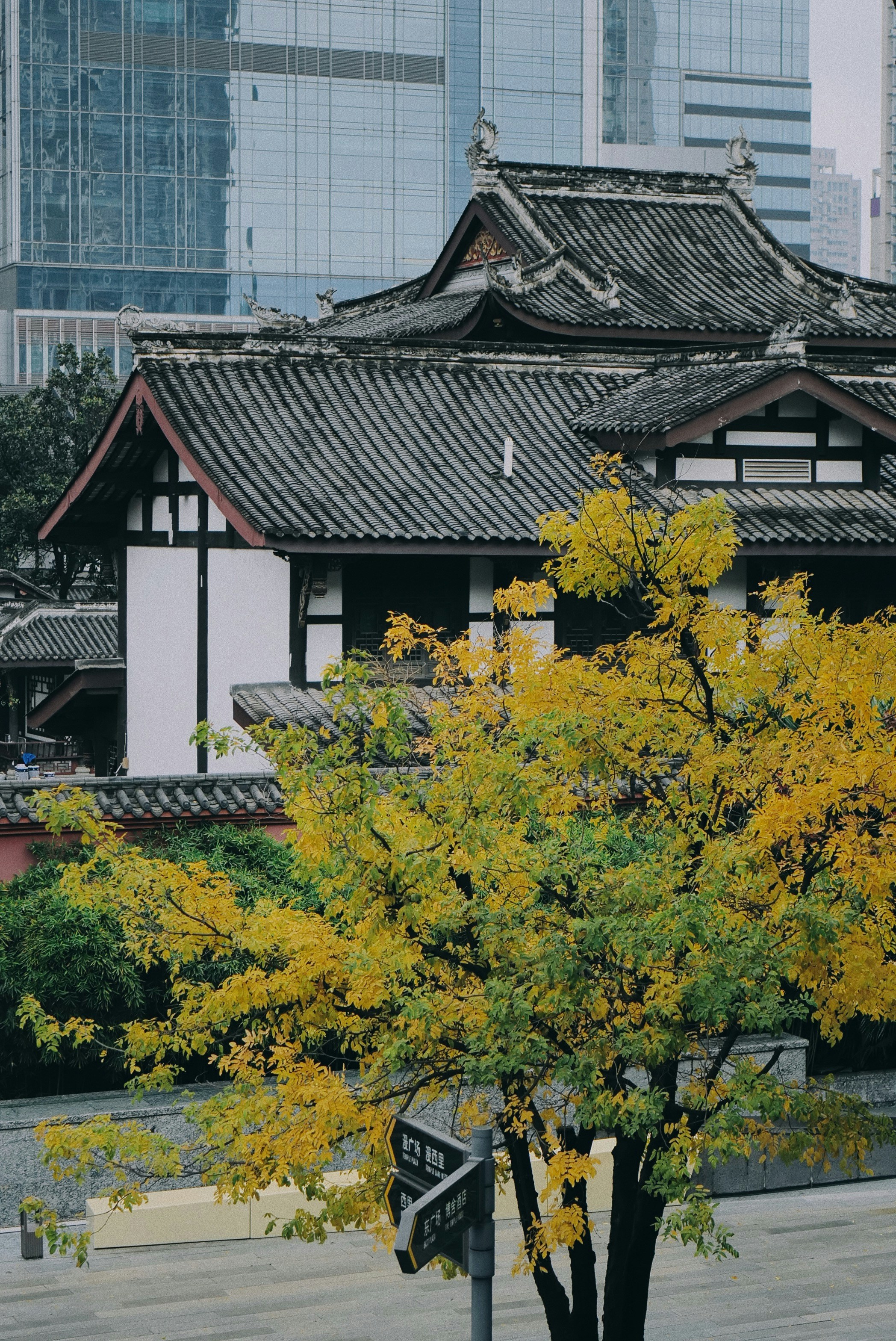 Harmony of Tradition and Modernity