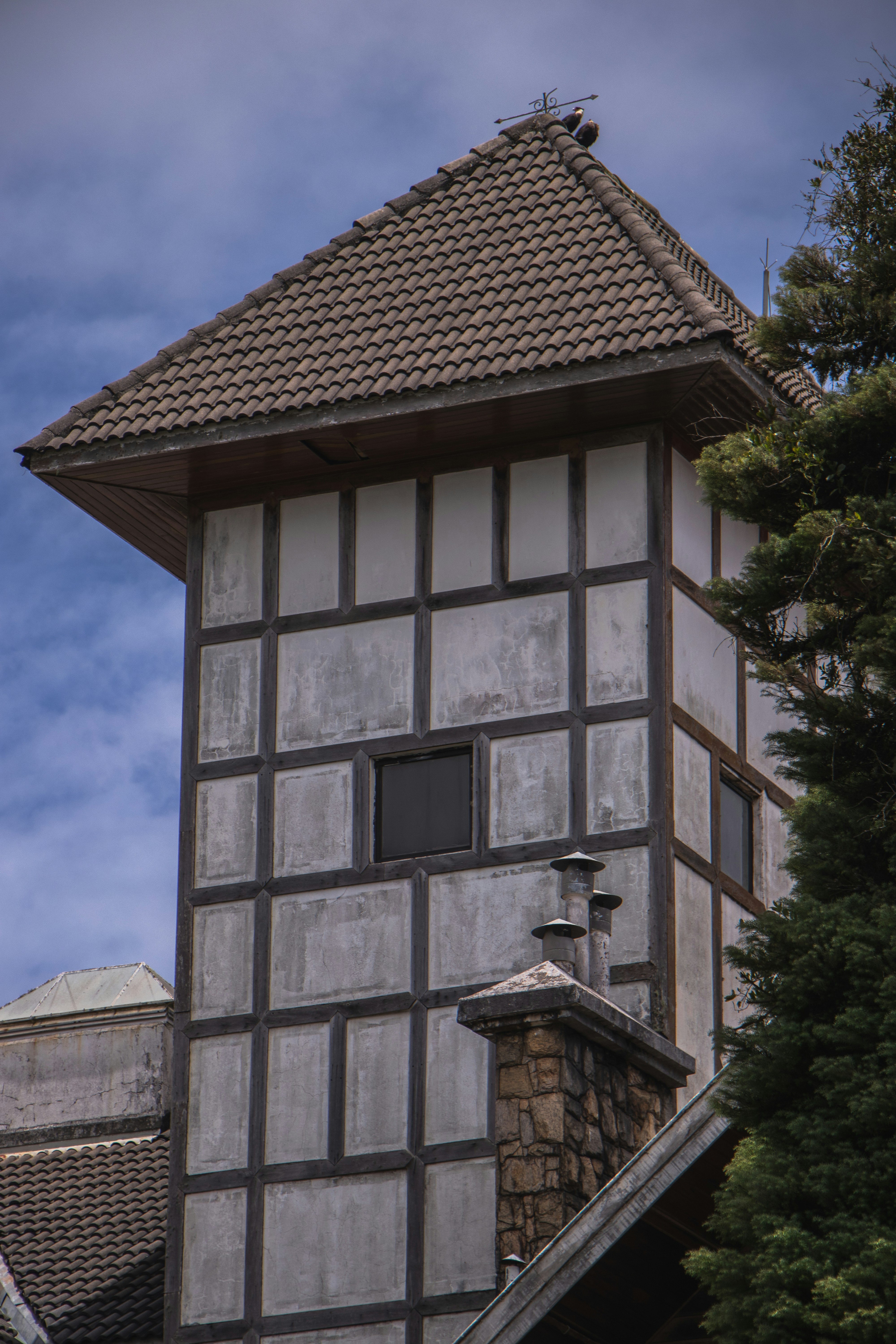 Photo by Guilherme Ramos with Canon EOS 80D