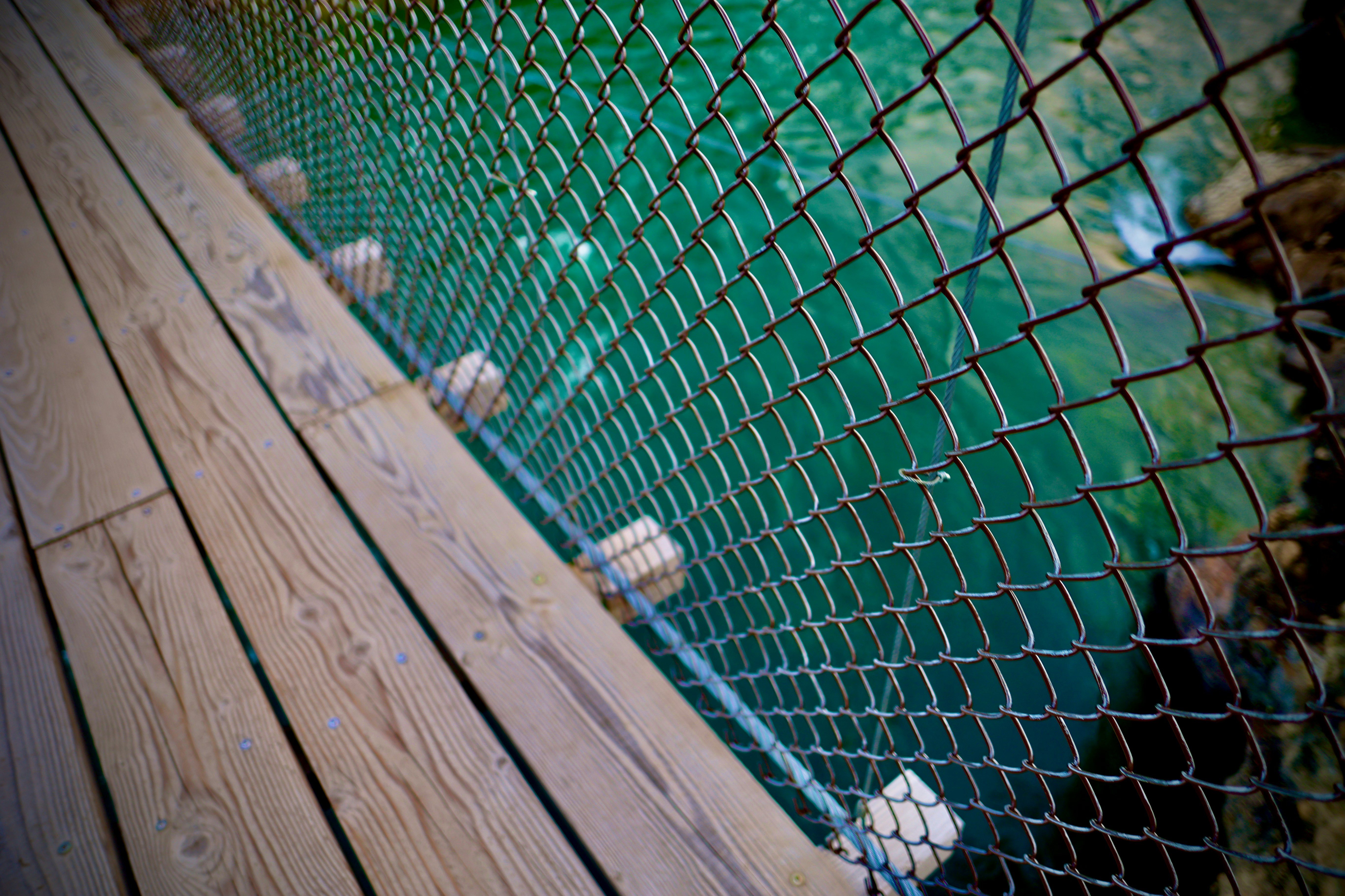 Wooden walkway with a chain-link fence overlooking a tranquil green body of water.