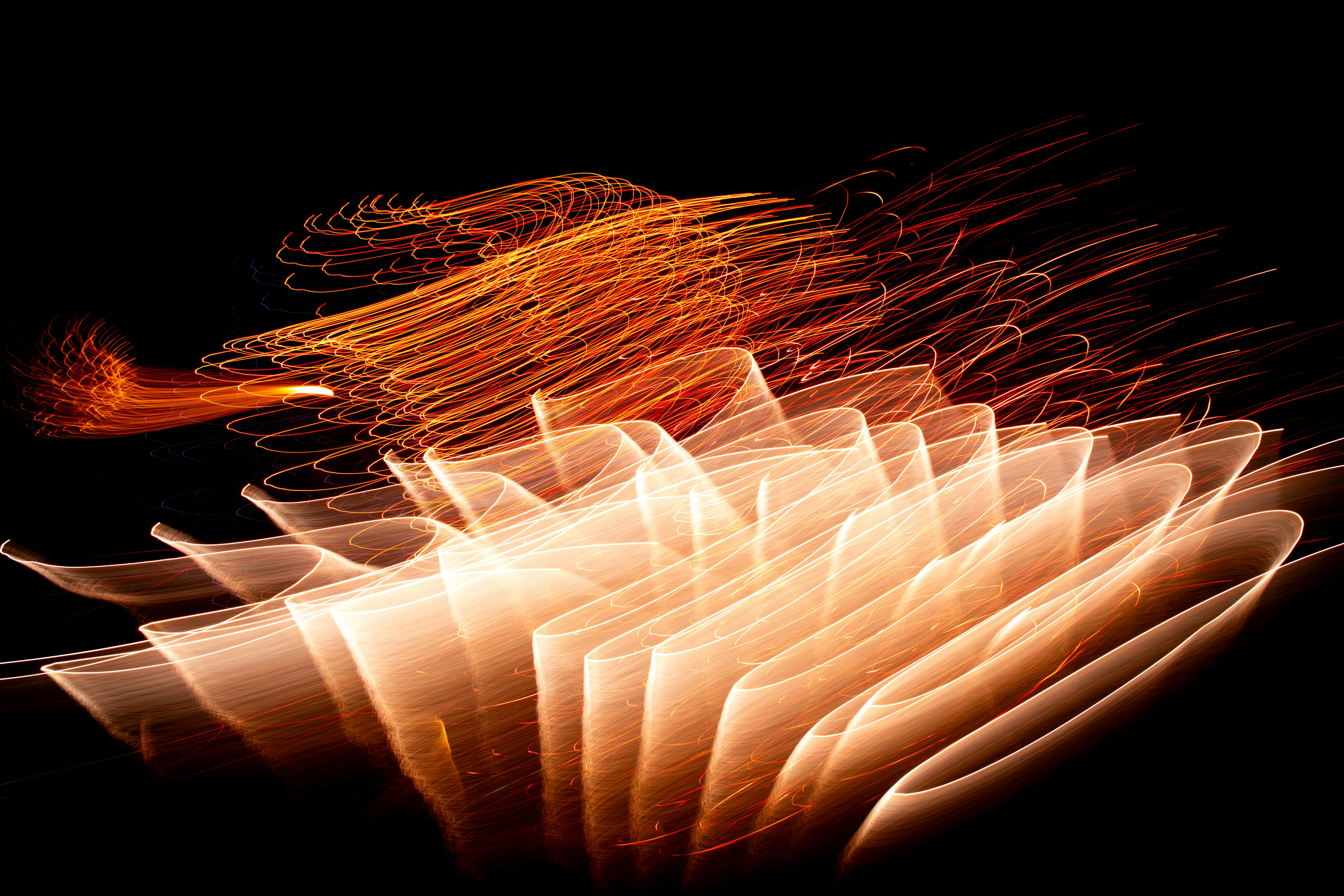 Fireworks burst with mesmerizing light trails in the sky. photo – Free ...
