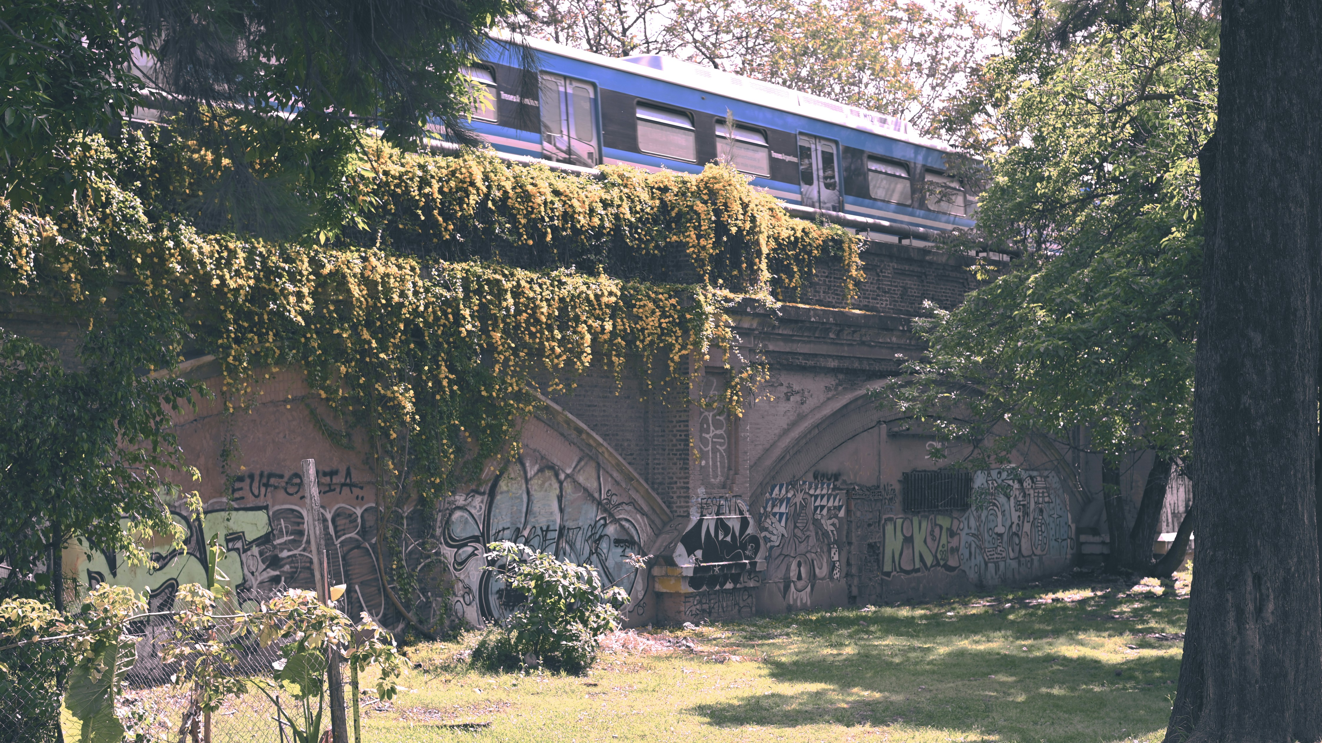 Photo by Kyle Larivee with Nikon Z6 II