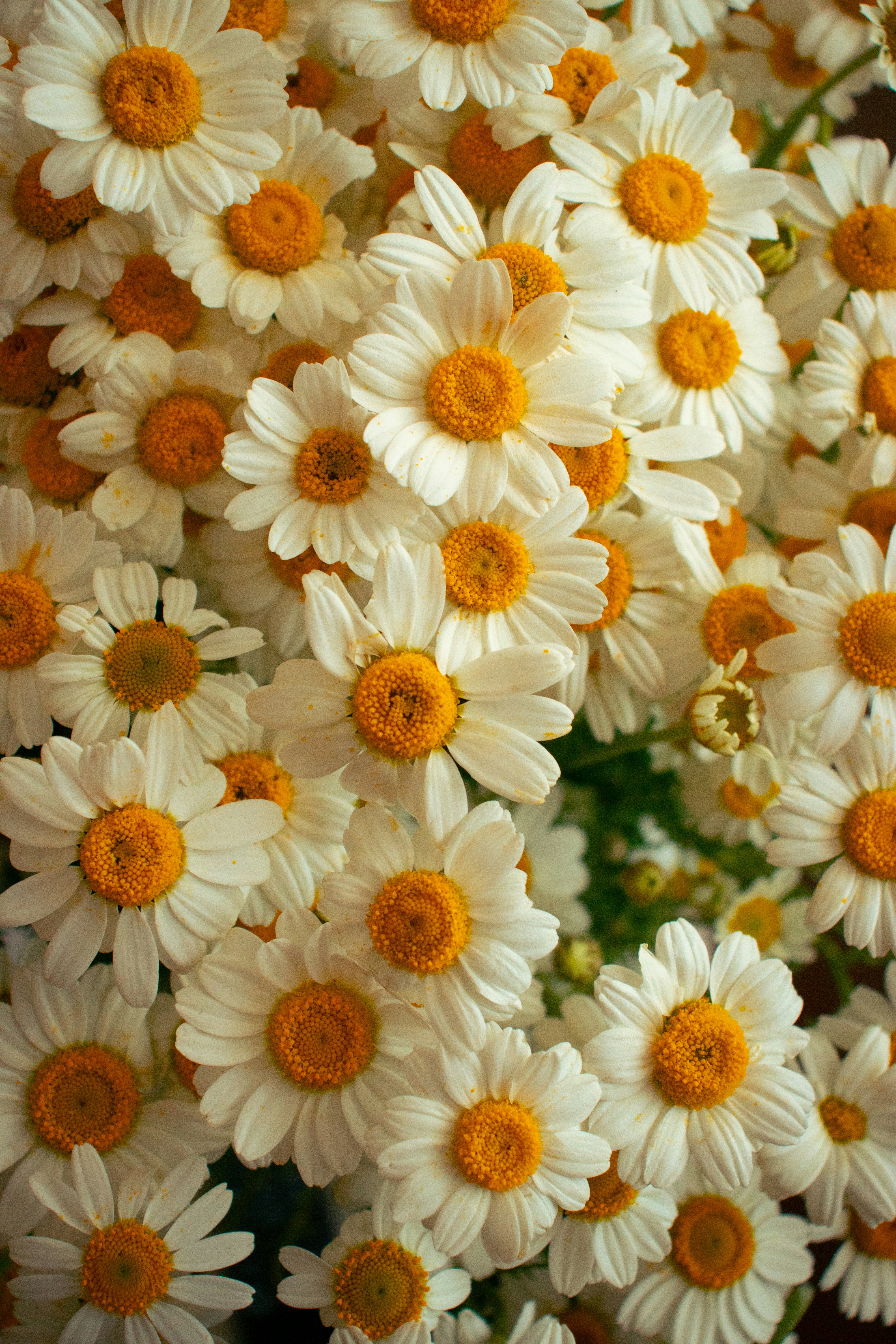 Photo by Gökhan Ayışığı with Canon EOS 250D