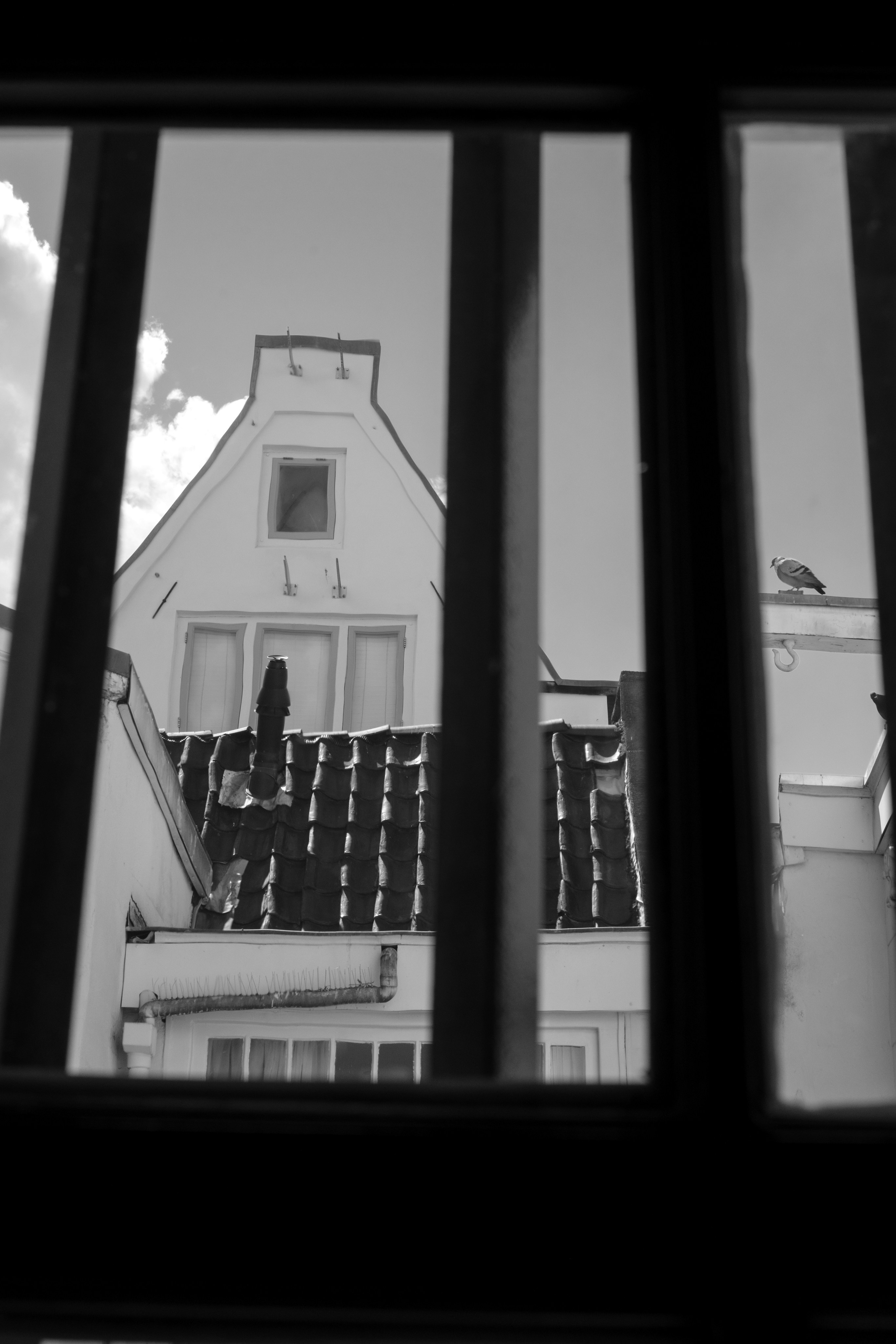 Photo by Ronan Furuta with Fujifilm X-T5