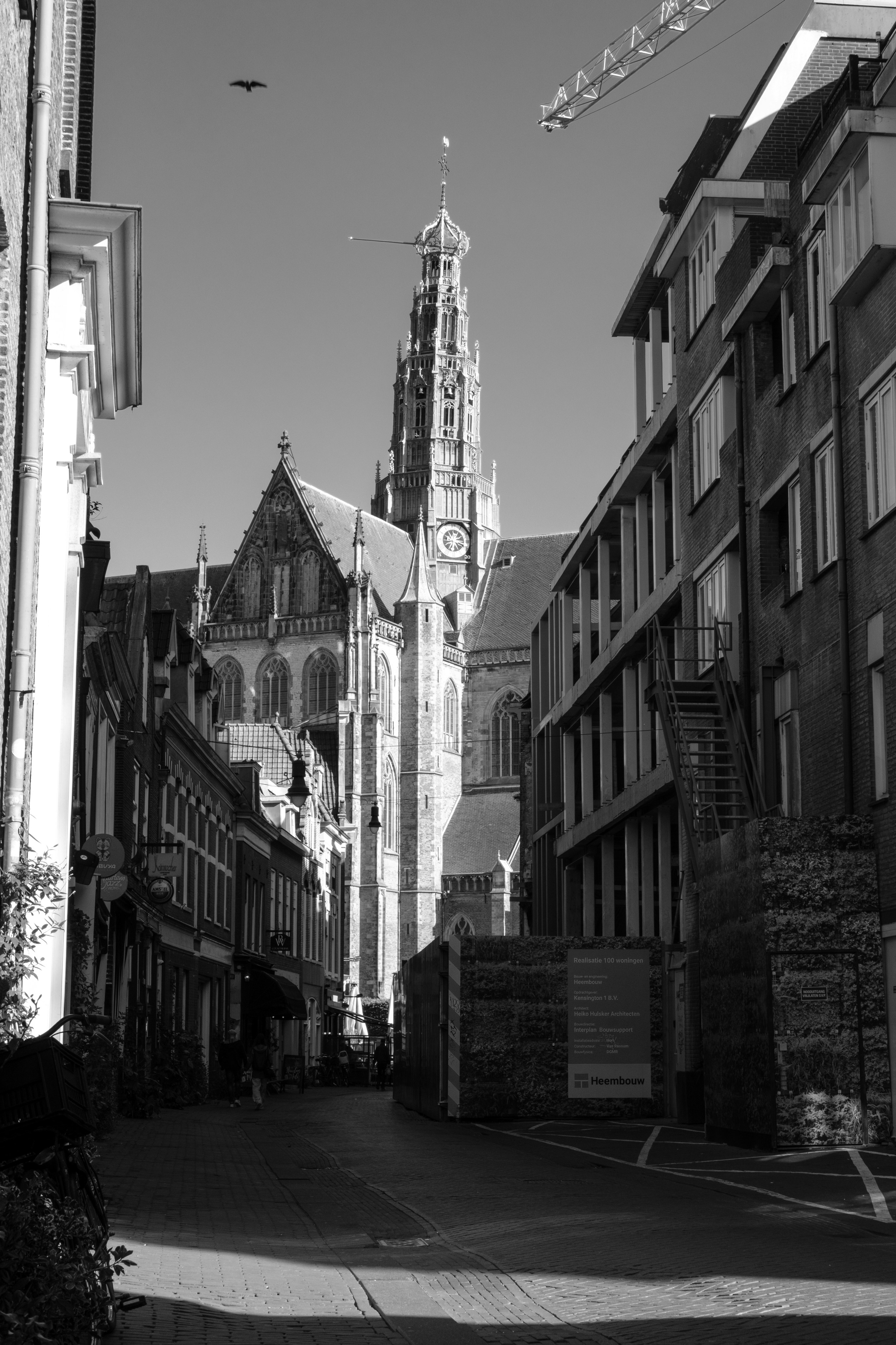 Photo by Ronan Furuta with Fujifilm X-T5