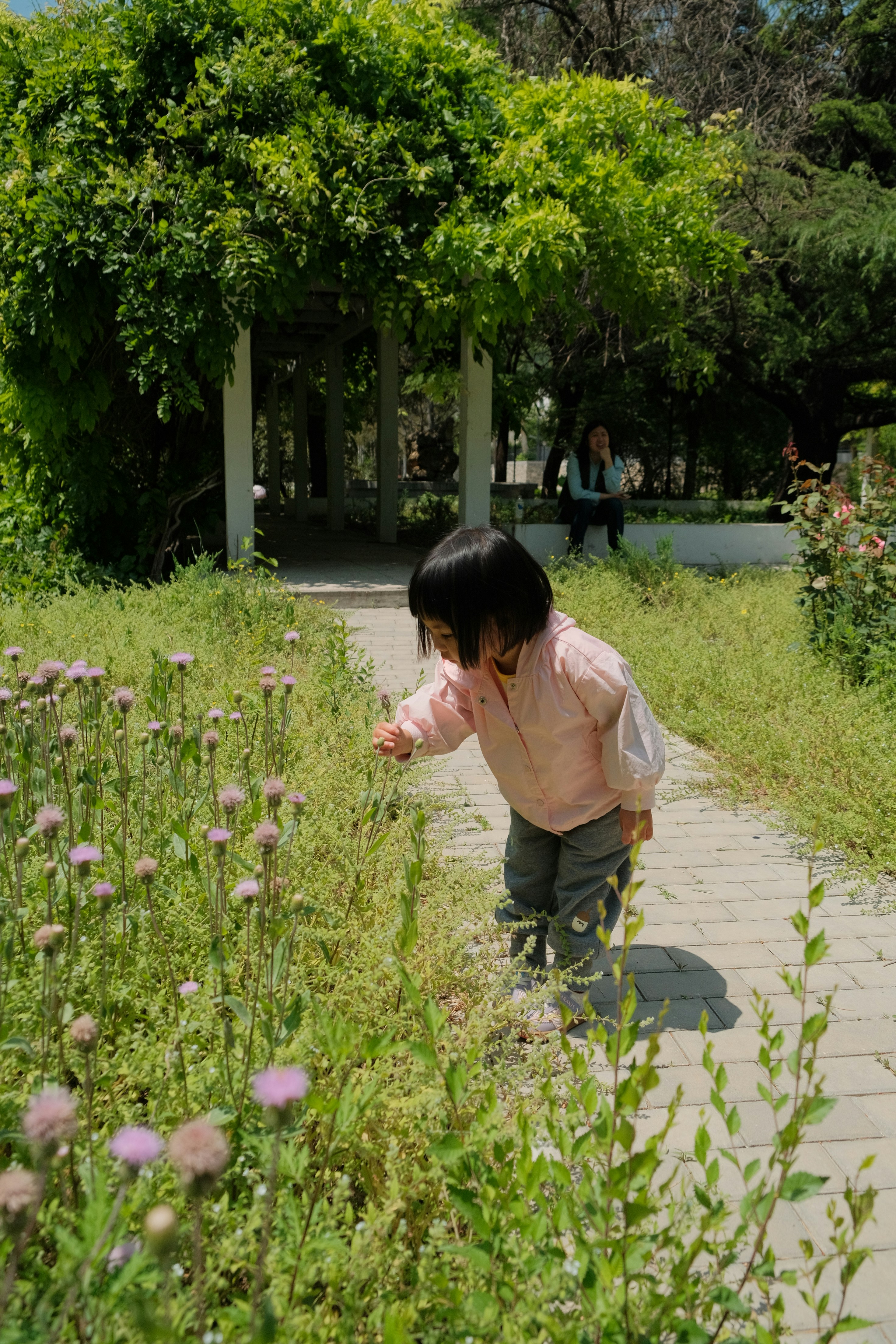 Photo by kian zhang with Fujifilm X-T3