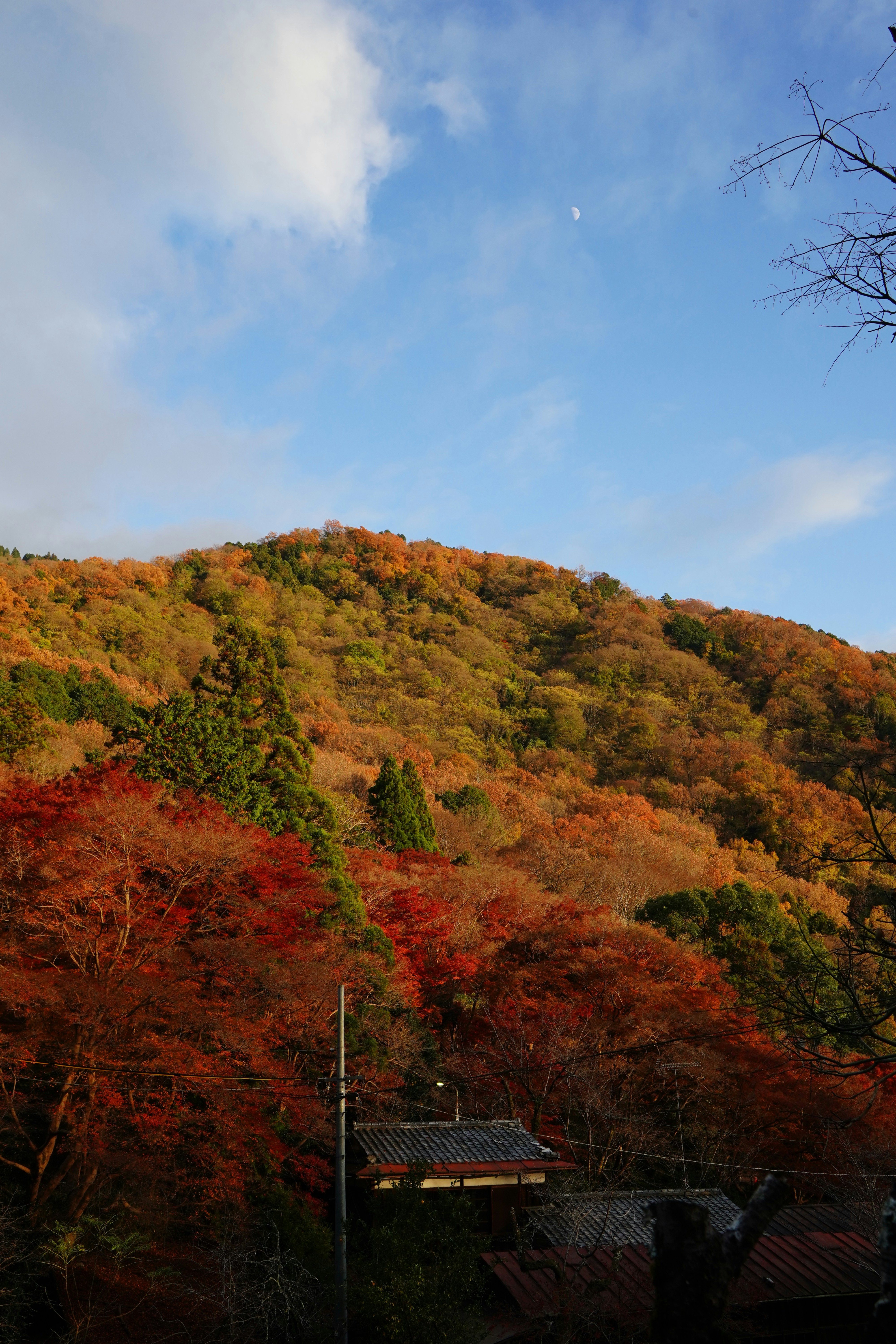 Autumn foliage covers a beautiful mountain landscape.