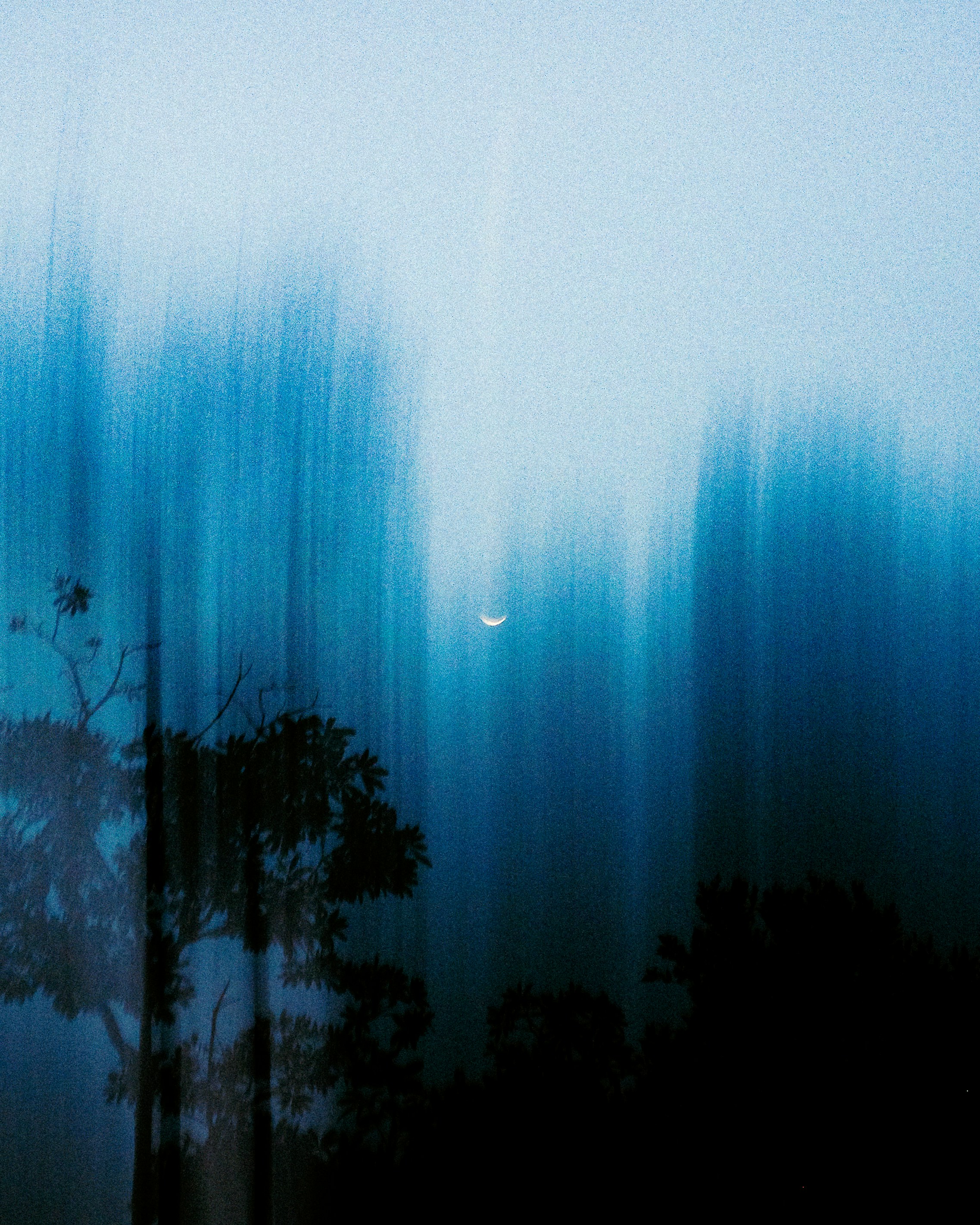 A crescent moon peeks through a veil of softly blurred trees, creating a serene atmosphere at dusk.