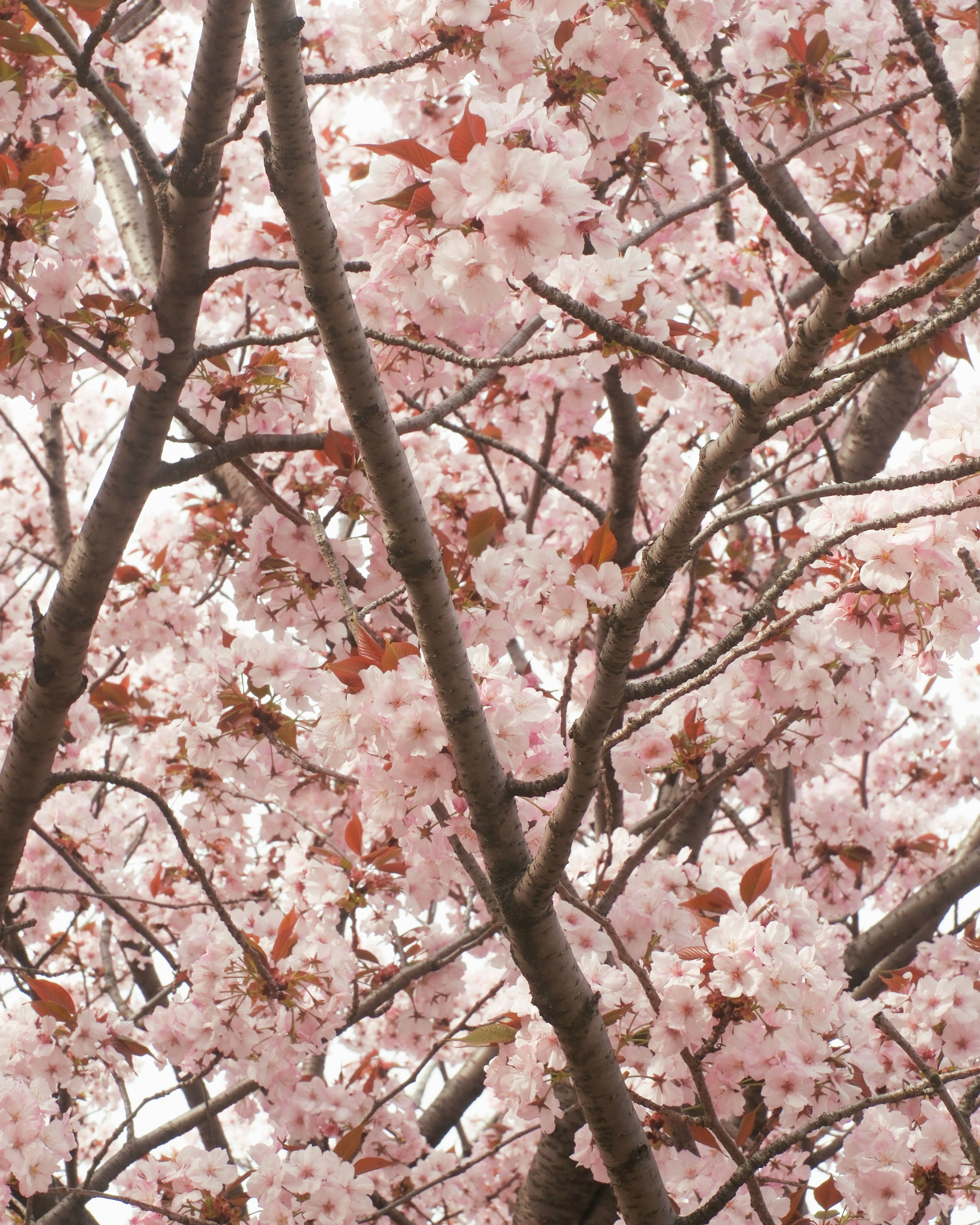 Photo by james chan with Fujifilm X-T5