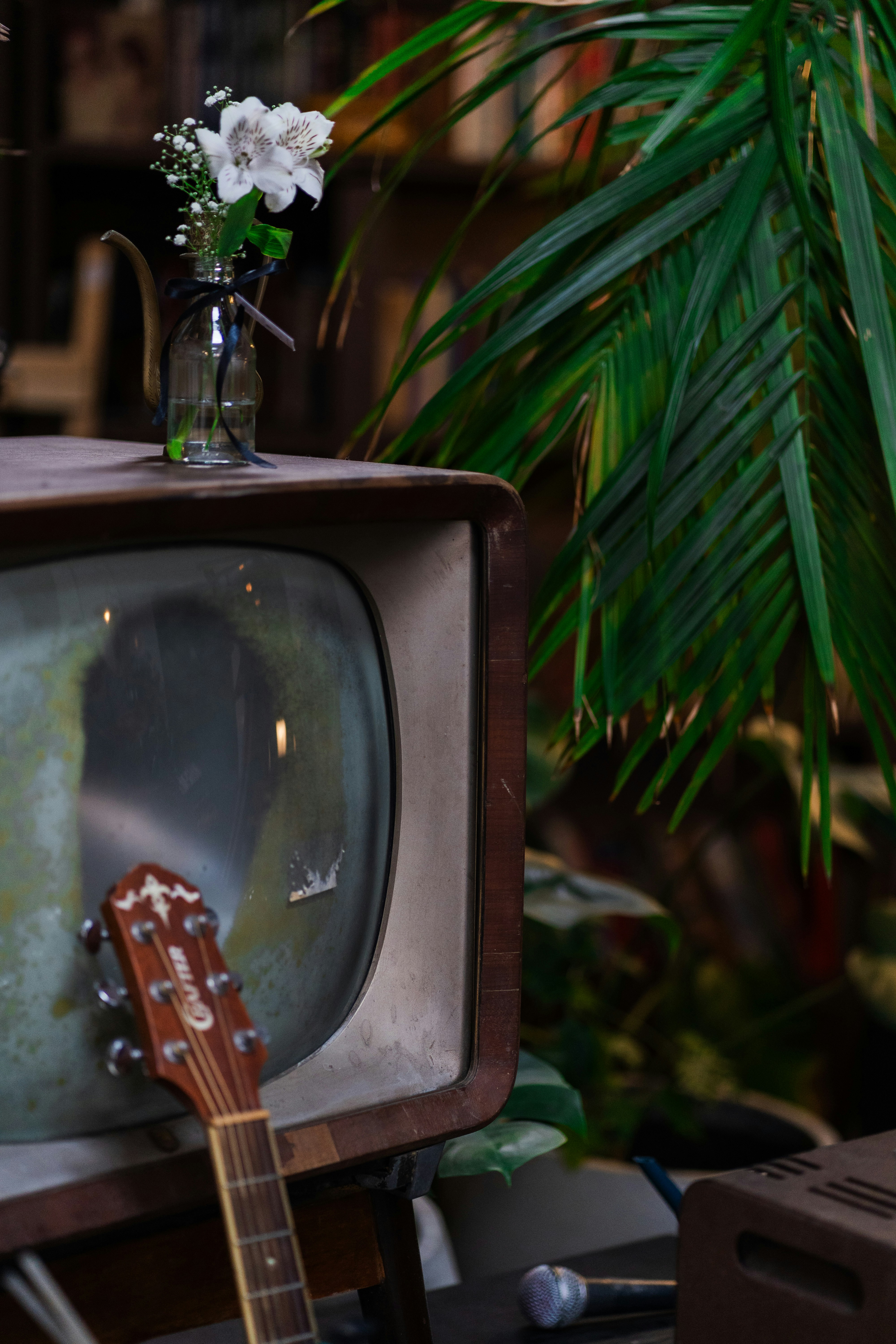 Bloom on a Retro Screen: A Quiet Still Life with Guitar and Greenery