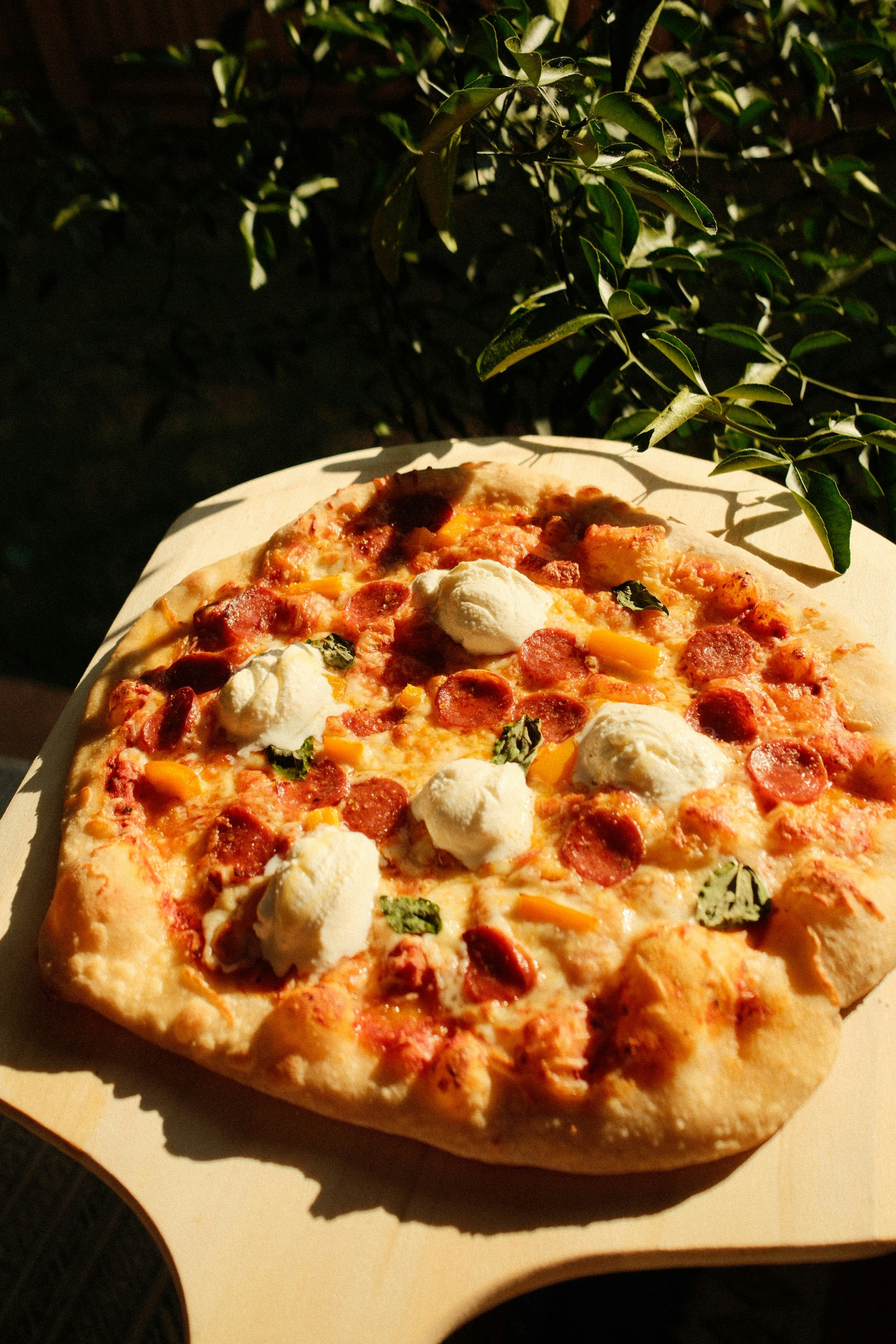 Sun-Drenched Pepperoni Pizza on a Wooden Board Beneath Olive Branches