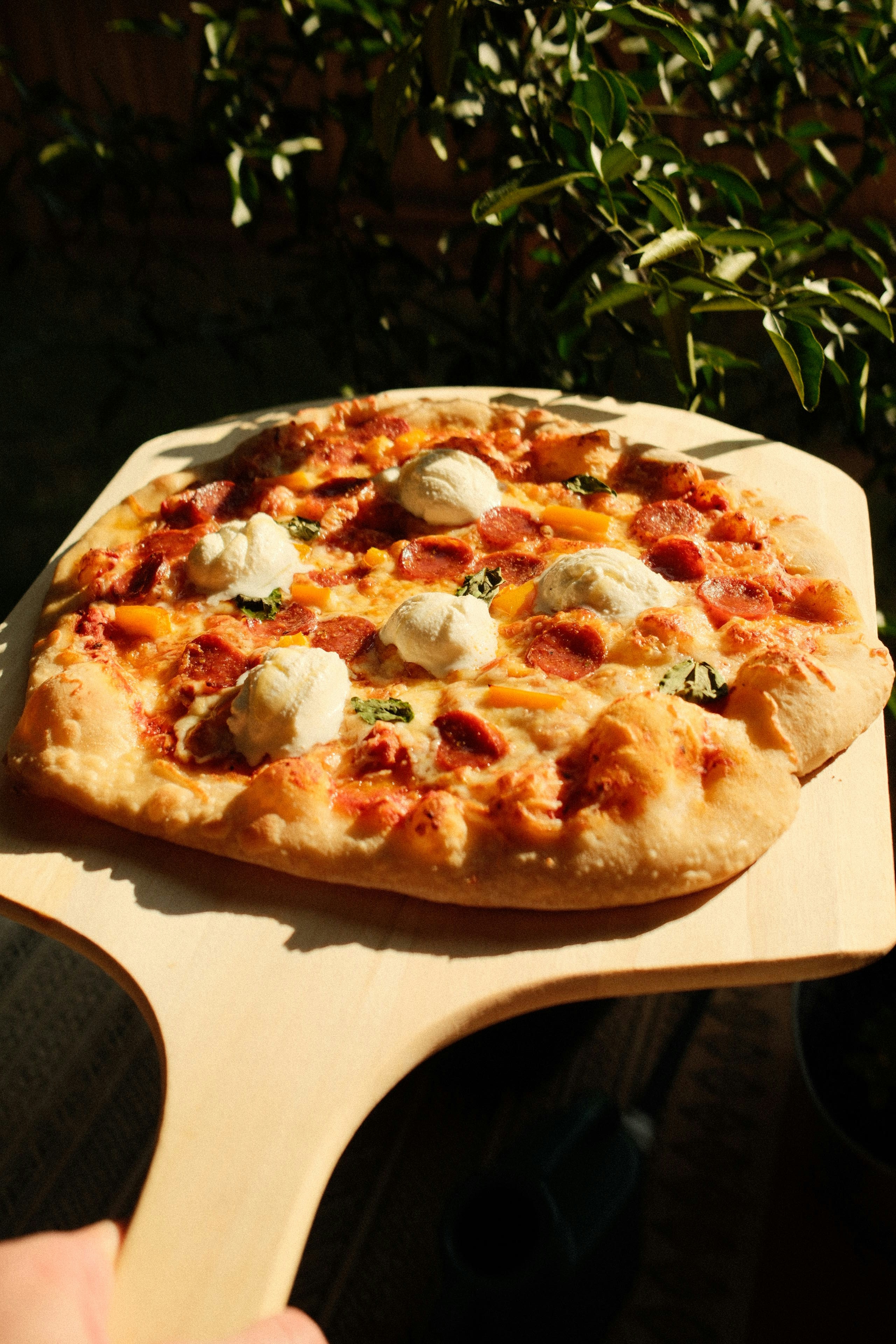 Artisan Creation: A Culinary Delight